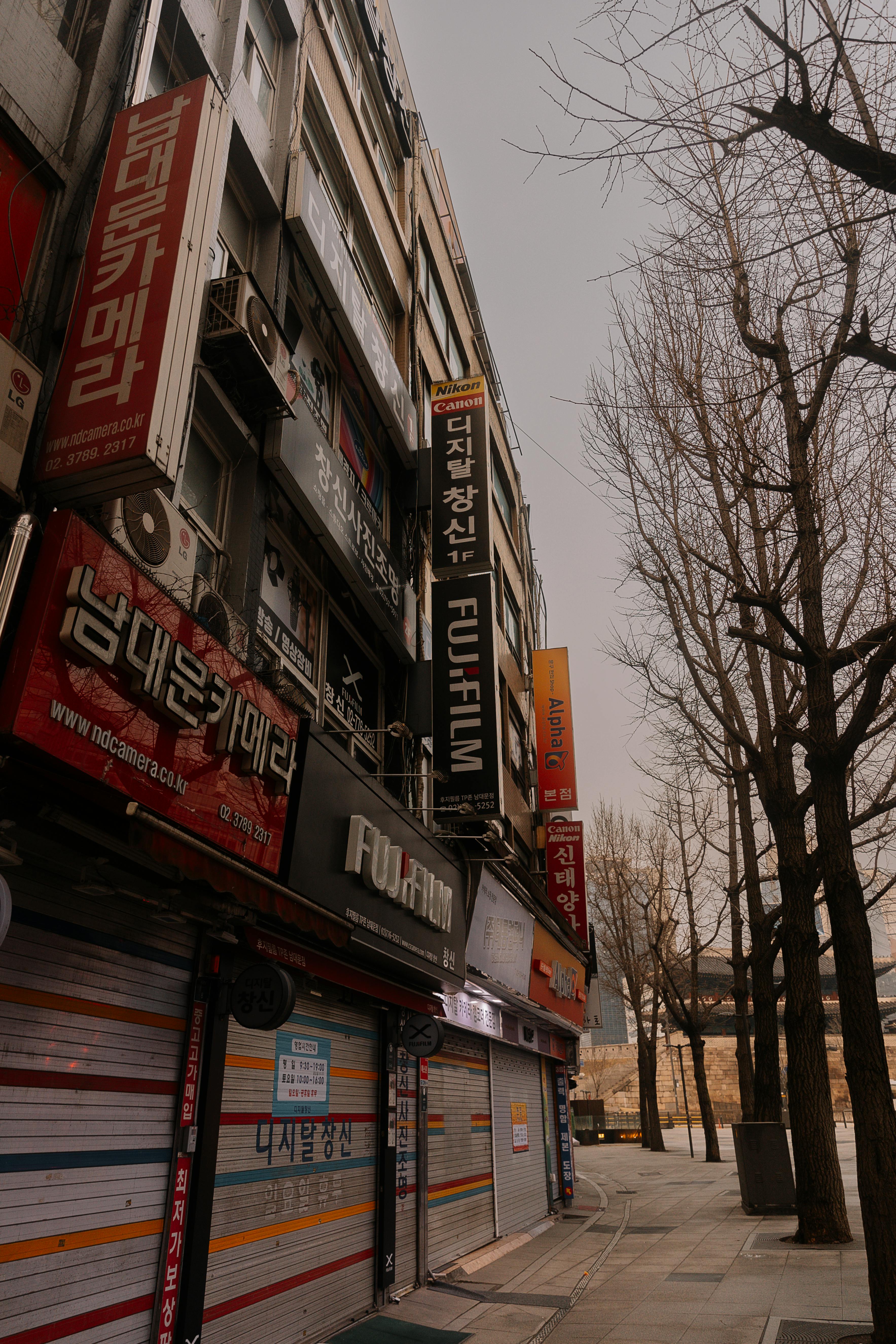 Empty Trees in Front of a Building · Free Stock Photo