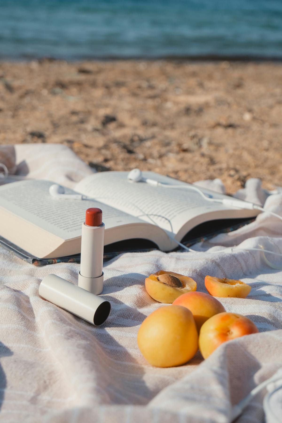 Beach Sea Shells Photos, Download The BEST Free Beach Sea Shells Stock ...