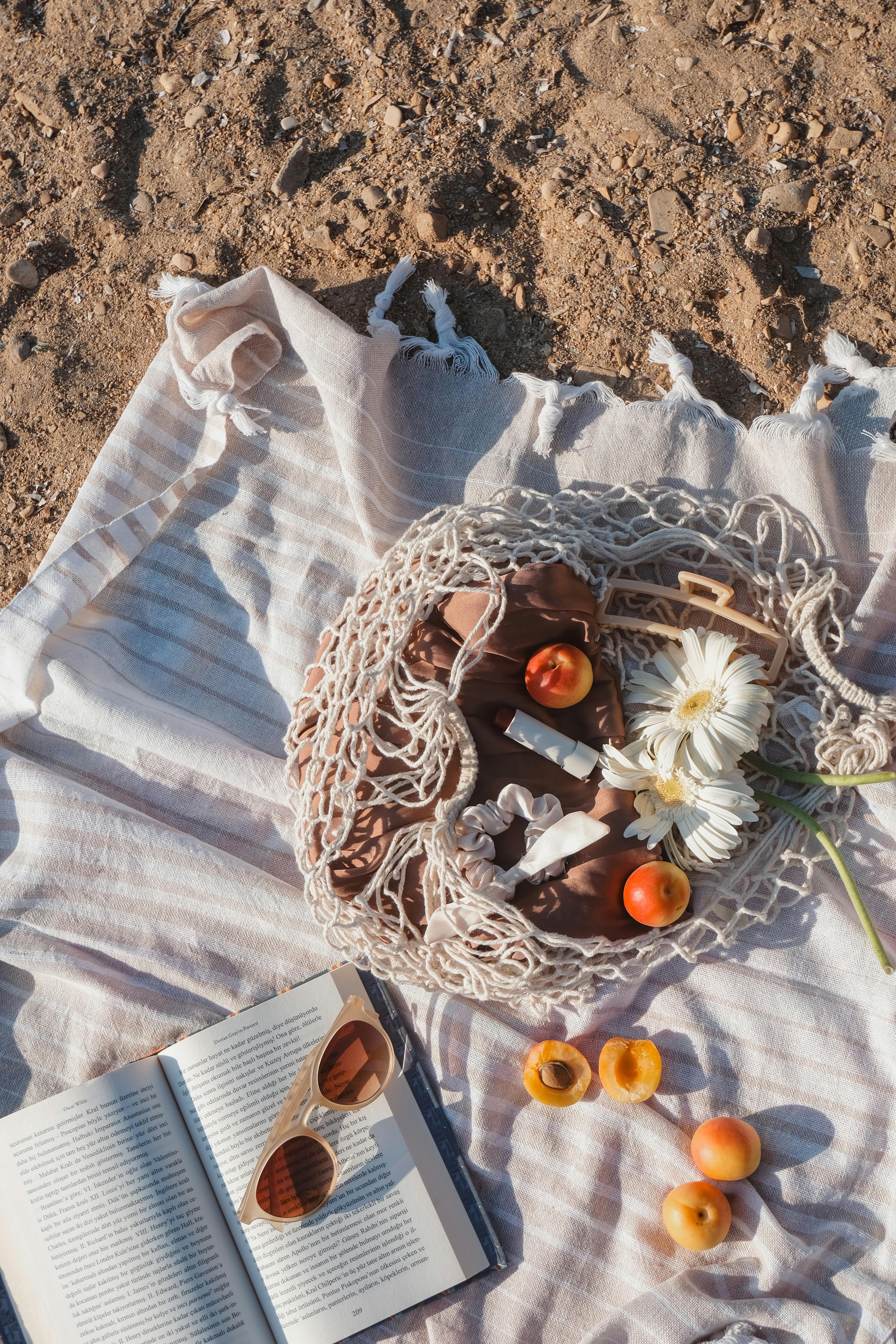 Picnic on the Beach · Free Stock Photo