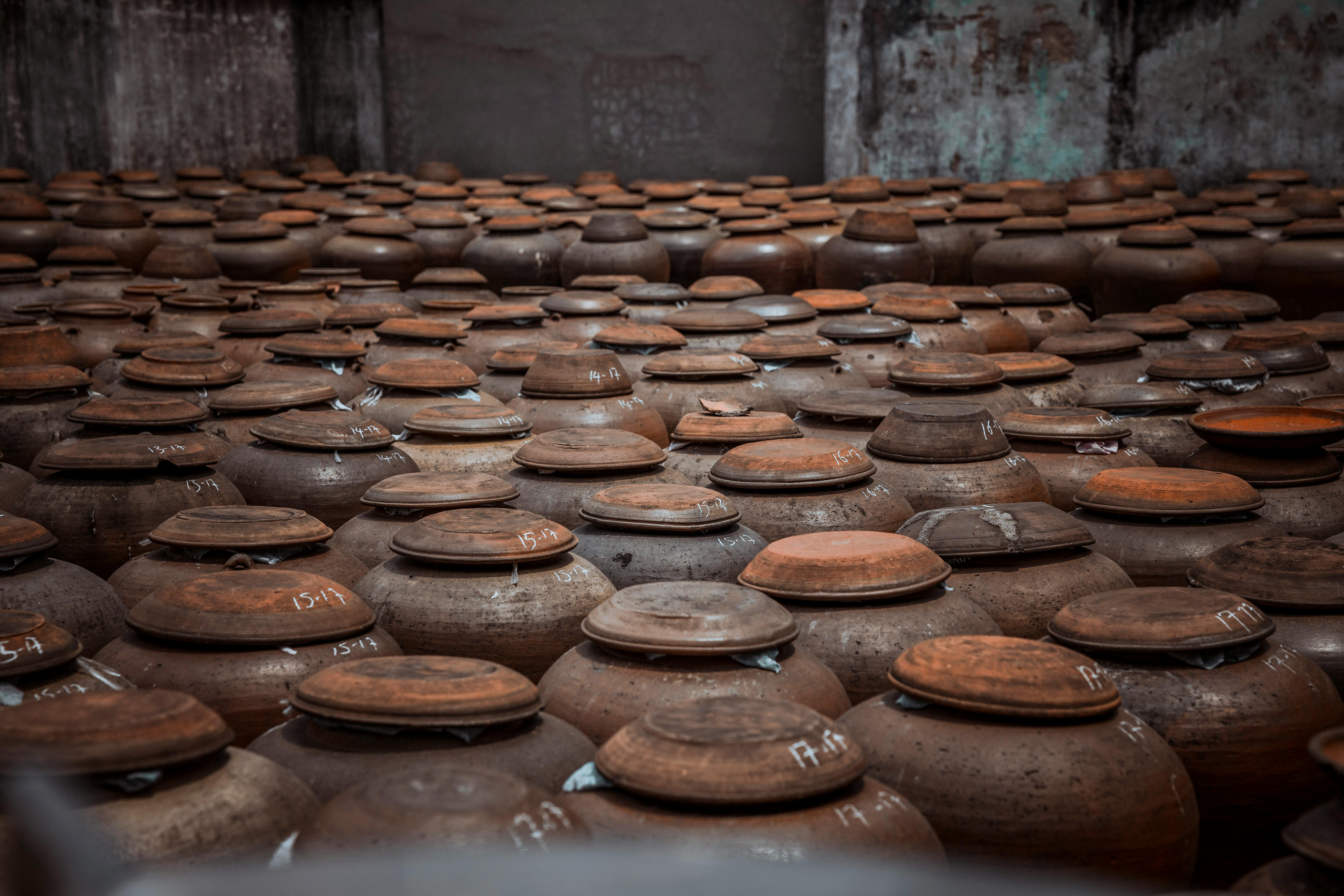 100.000+ Foto Dangerous Dog Wallpaper Terbaik · Unduh Gratis 100% ...