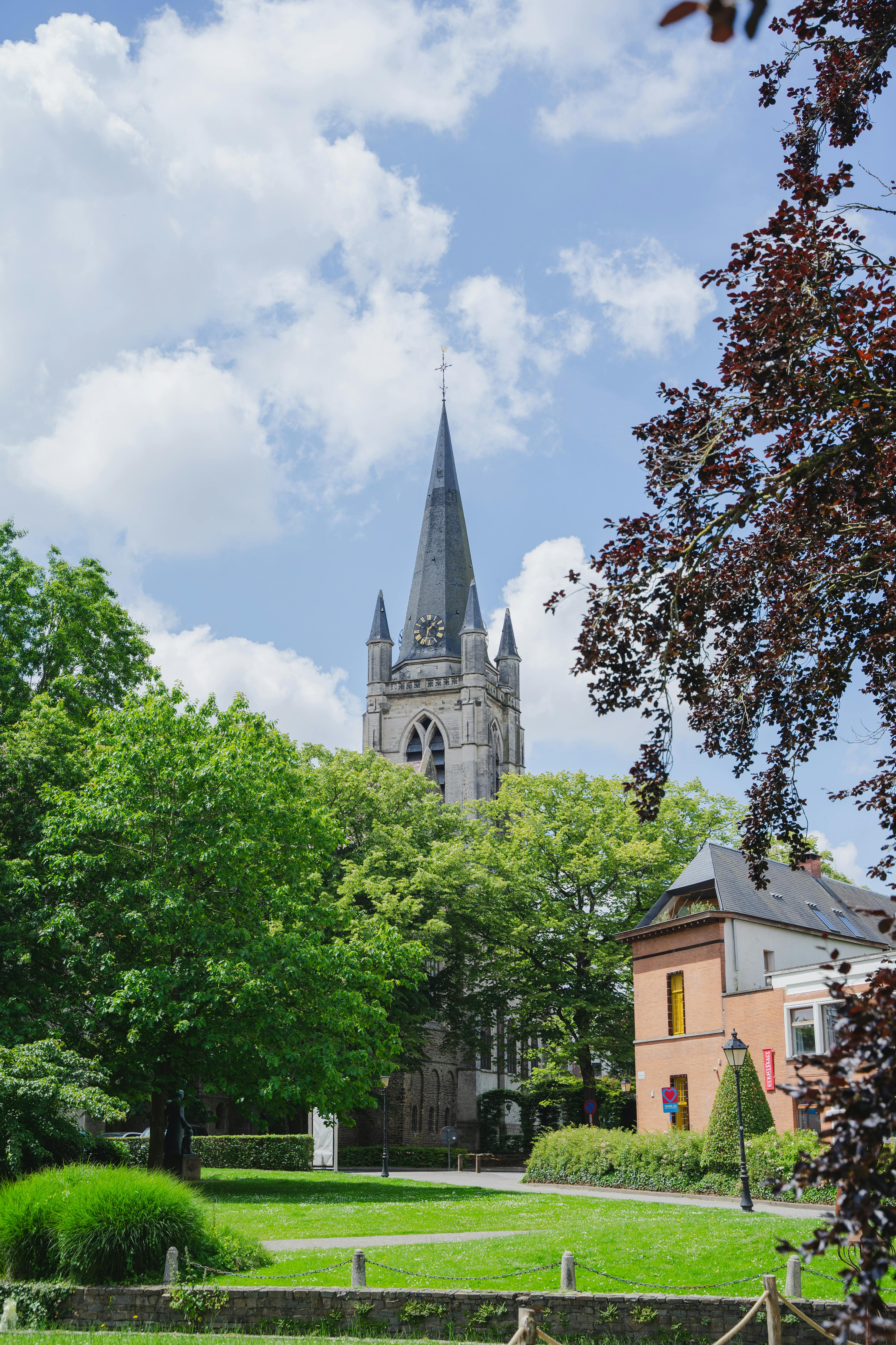 Church Tower over Trees in Park · Free Stock Photo