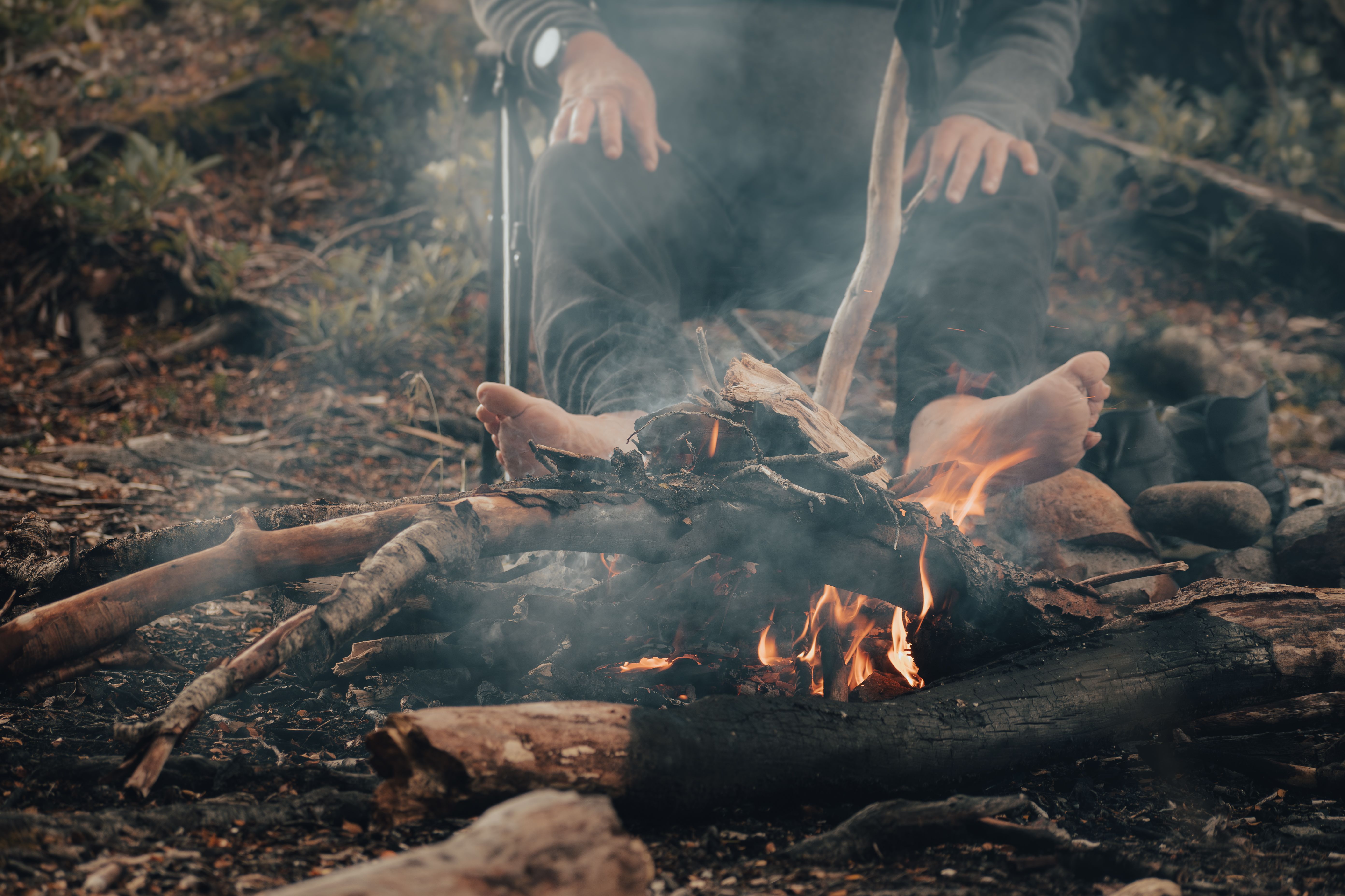 Close-up of a Campfire · Free Stock Photo