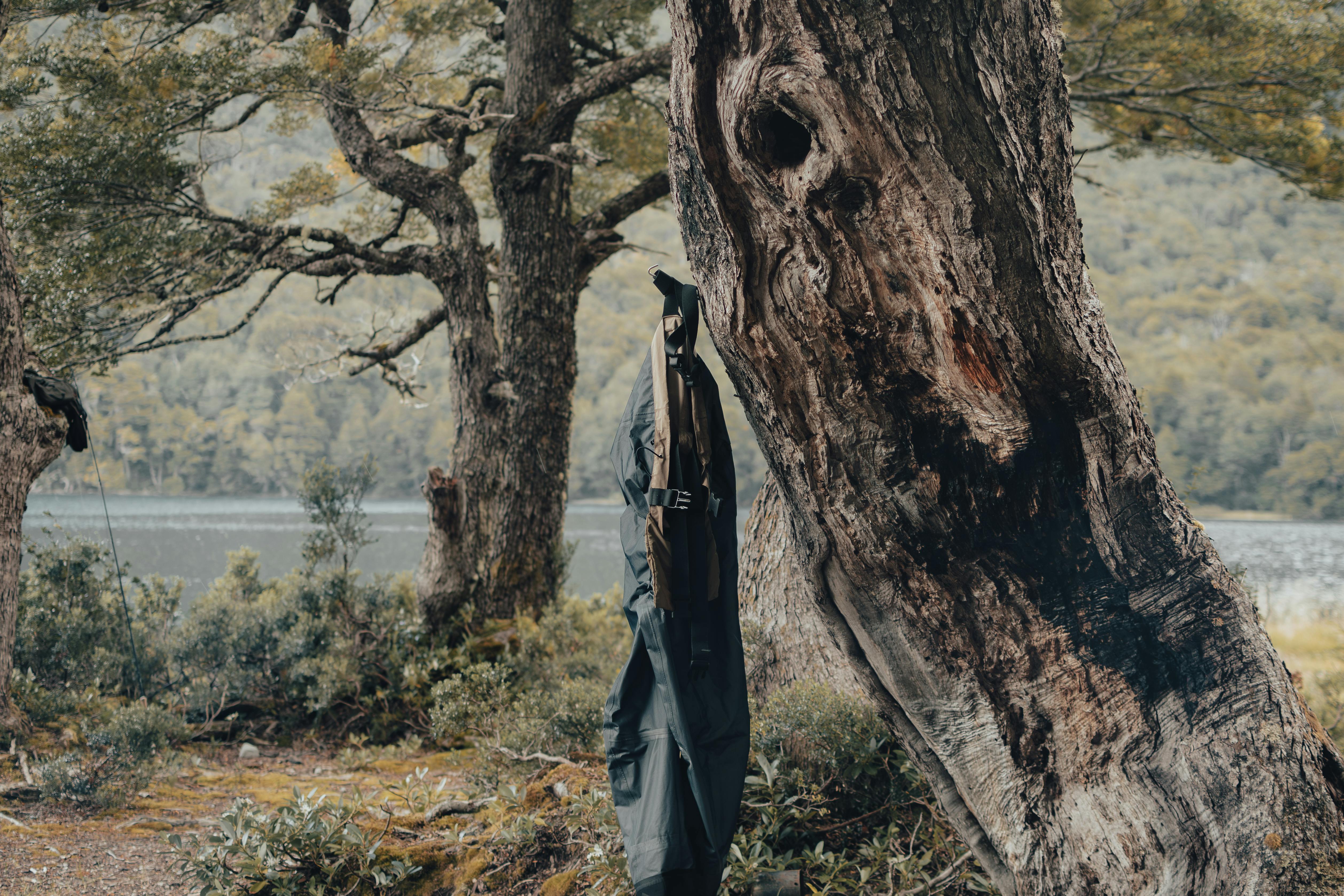 Jacket Hanging Off a Tree · Free Stock Photo