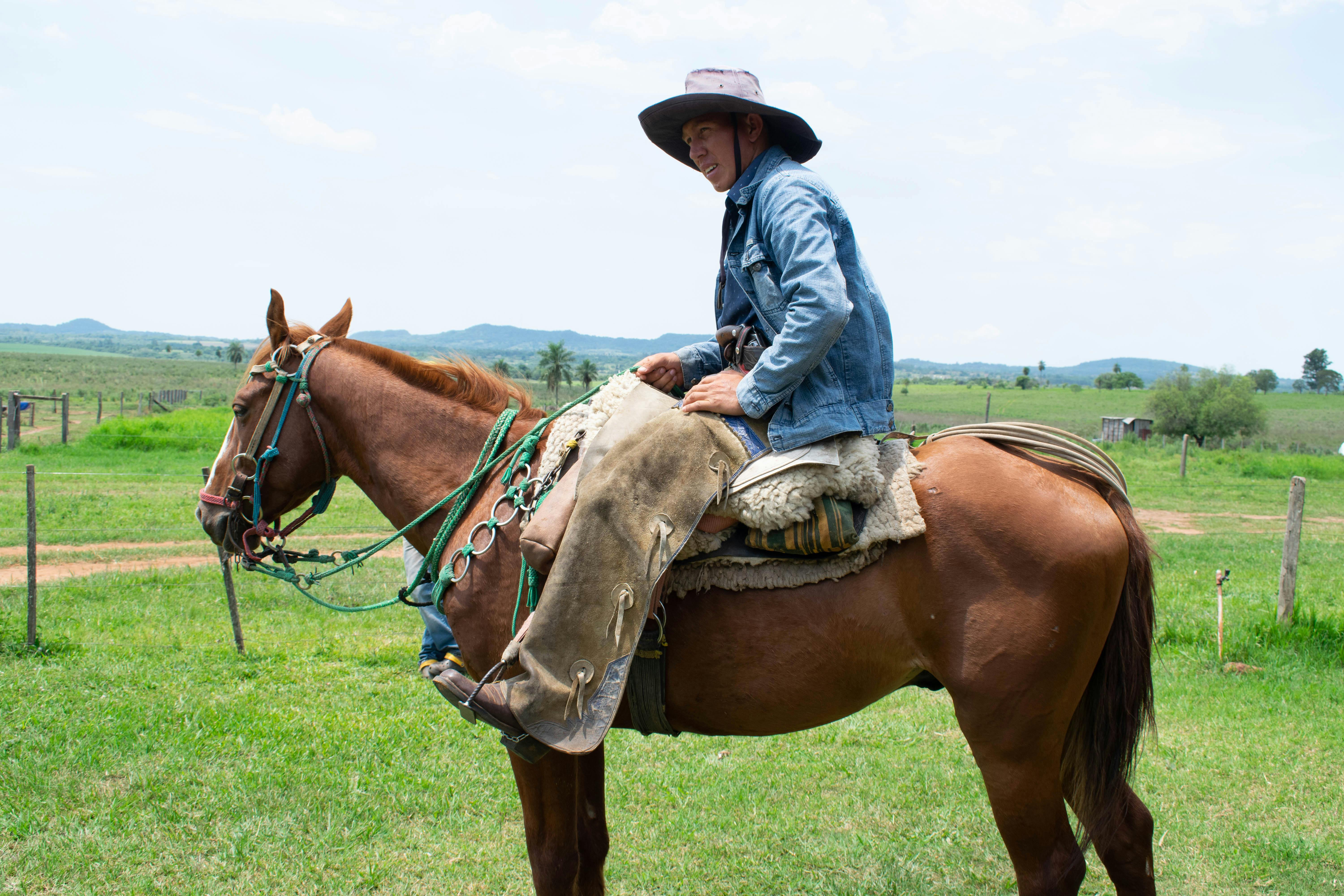 Foto de stock gratuita sobre agricultura, al aire libre, américa del ...