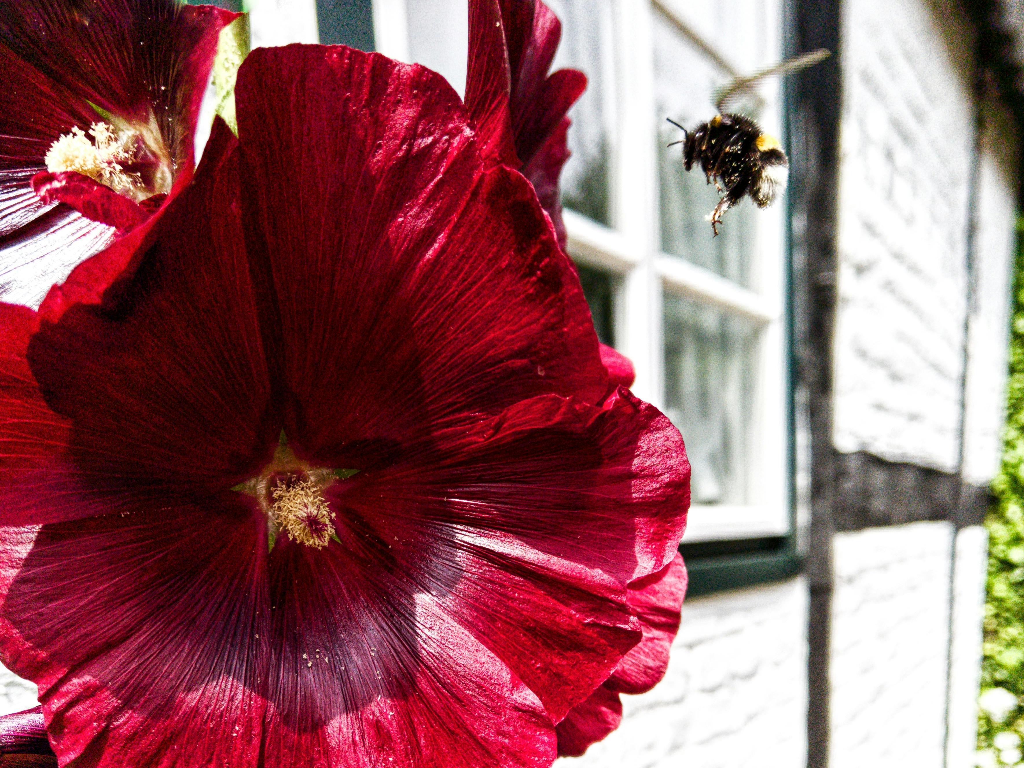 Andreas Barth - Photography