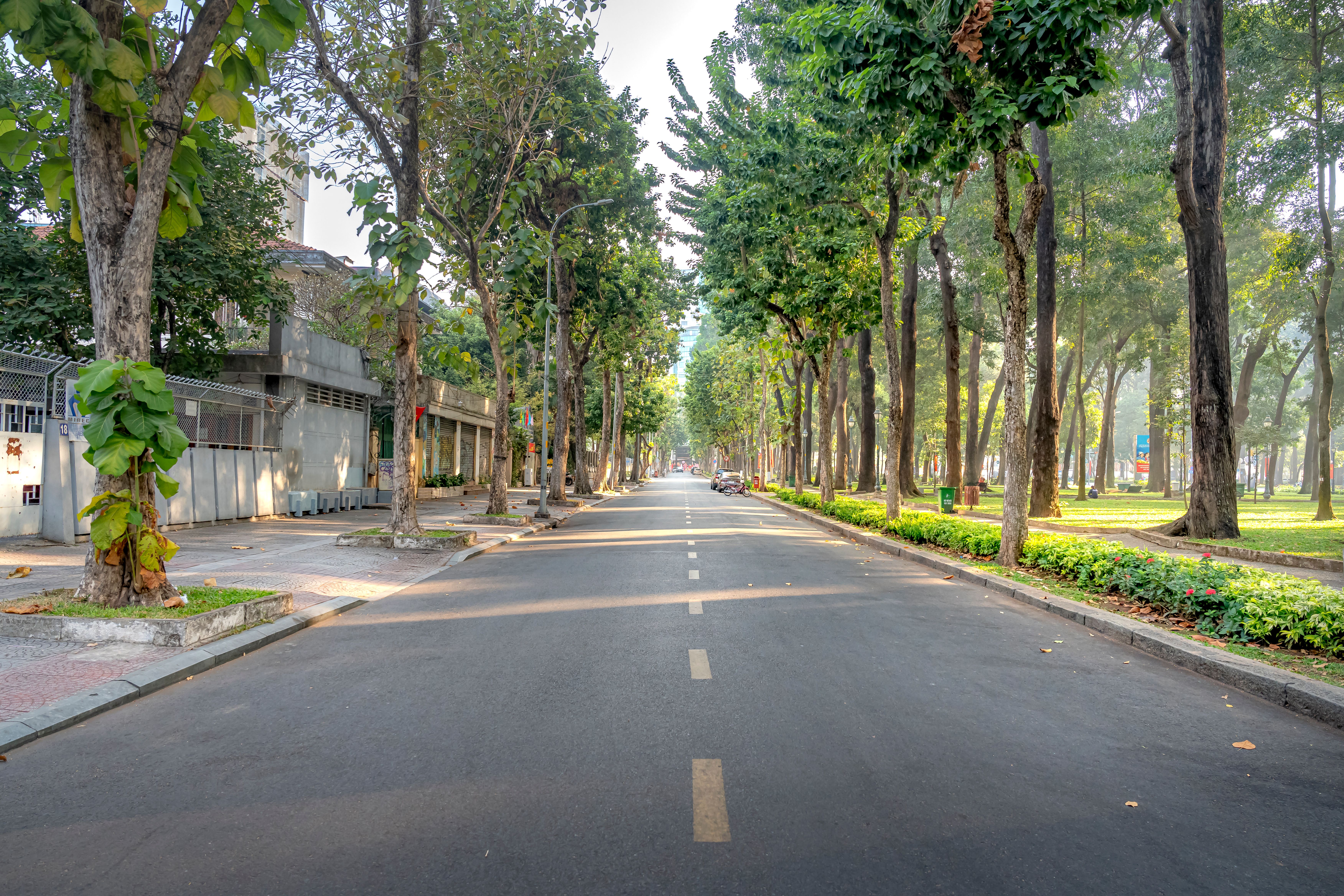 Trees around Street near Park in Town · Free Stock Photo