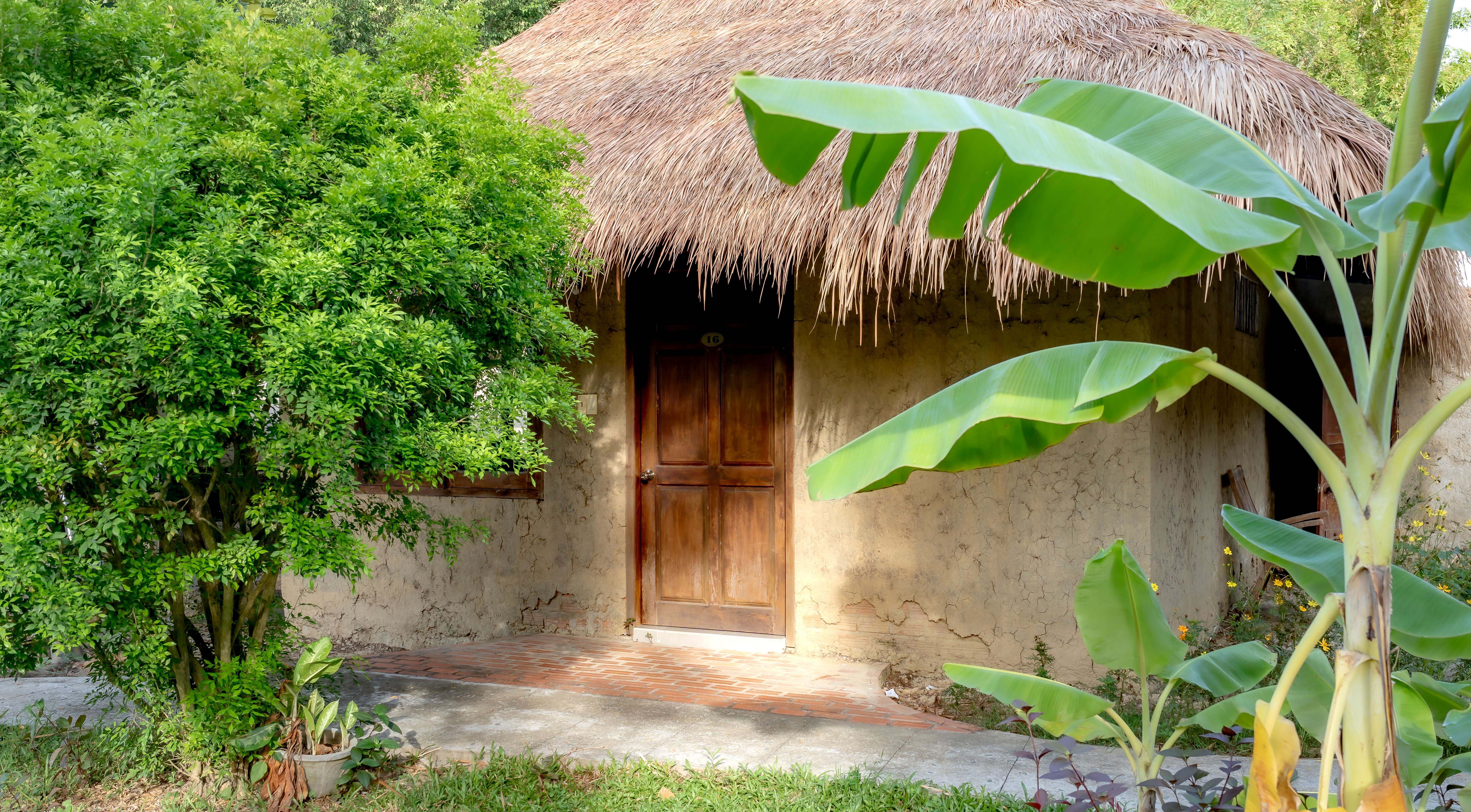 House with Thatched Roof · Free Stock Photo