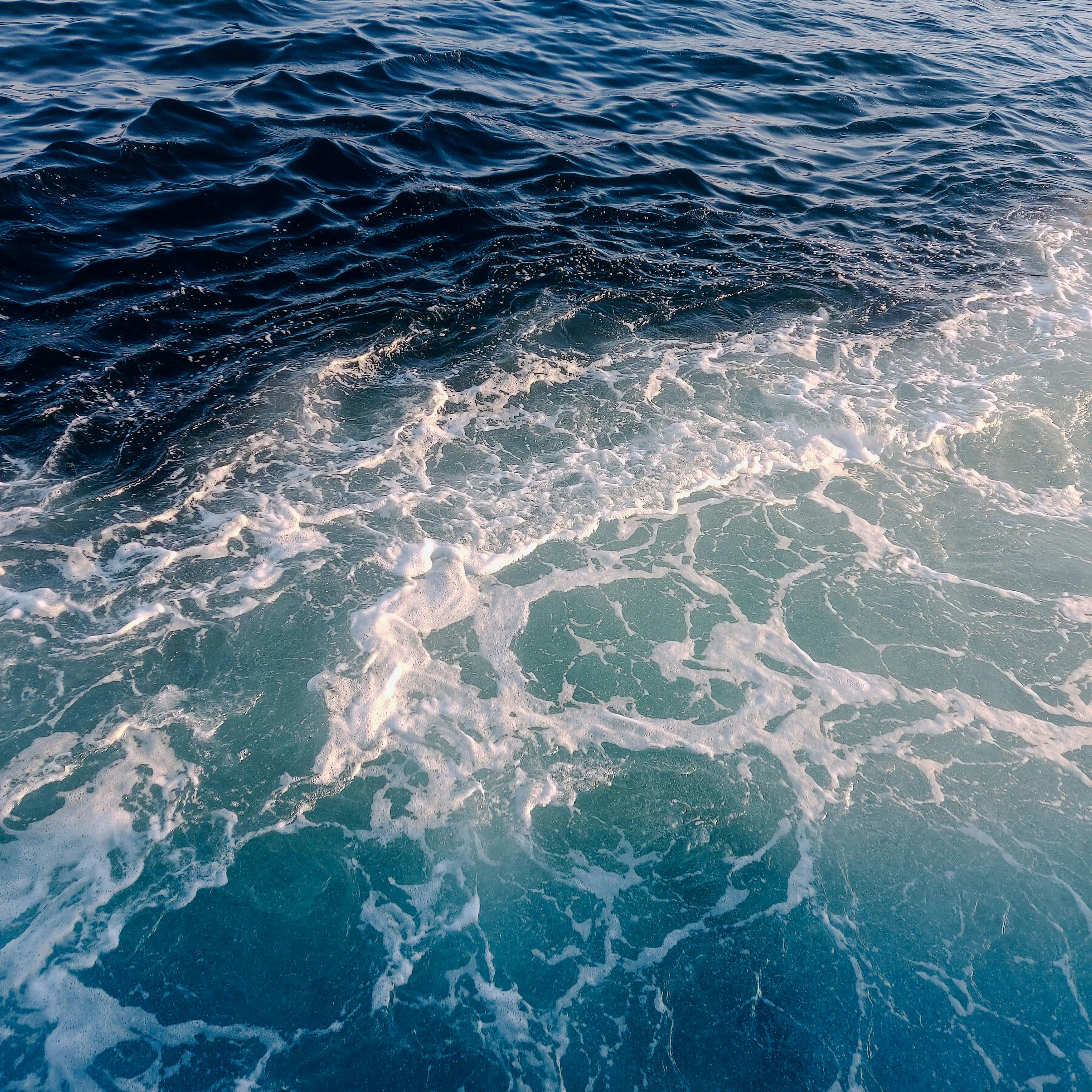 Sea Water Forming Seafoams · Free Stock Photo
