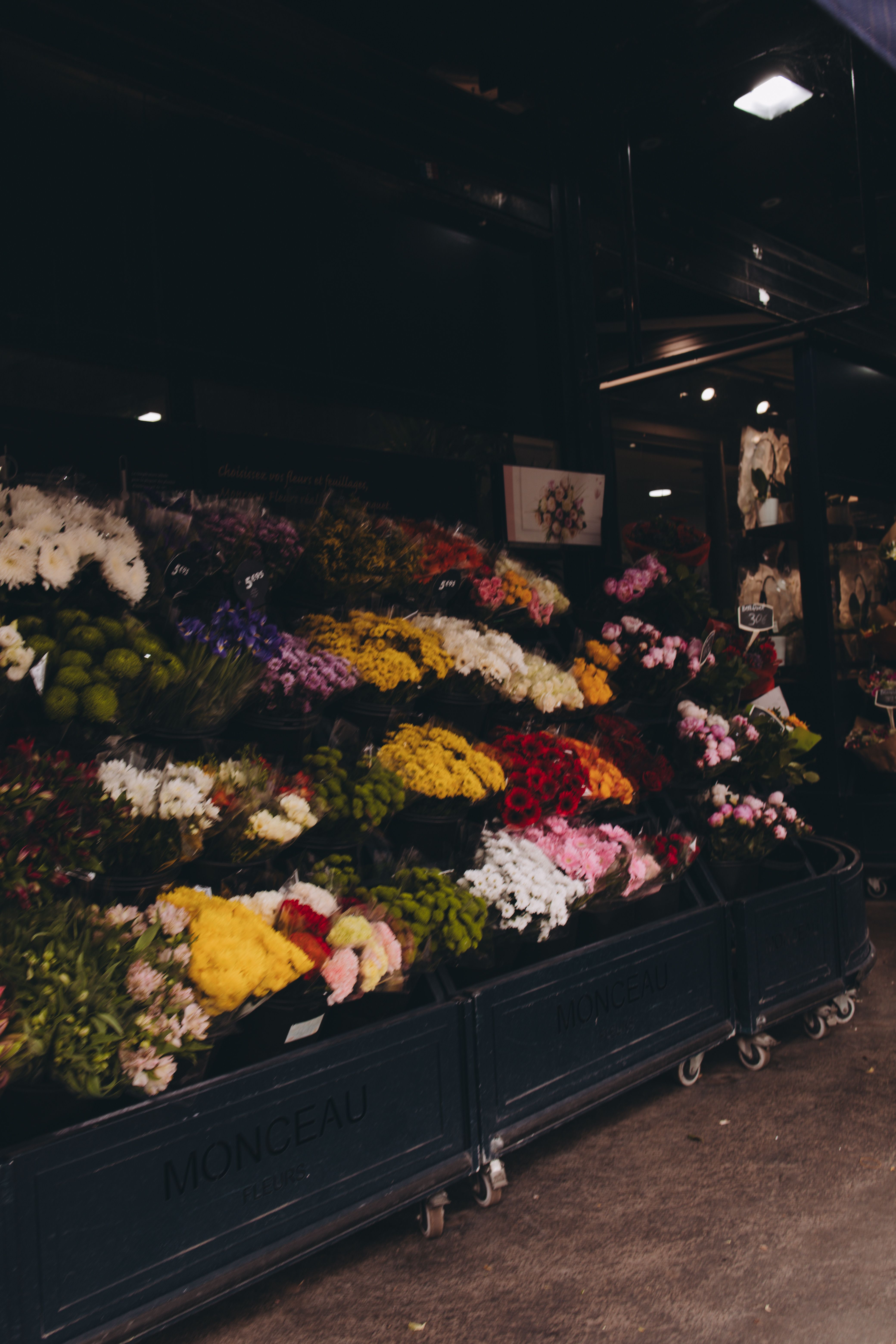 Foto de stock gratuita sobre arreglo floral, botánico, colores ...