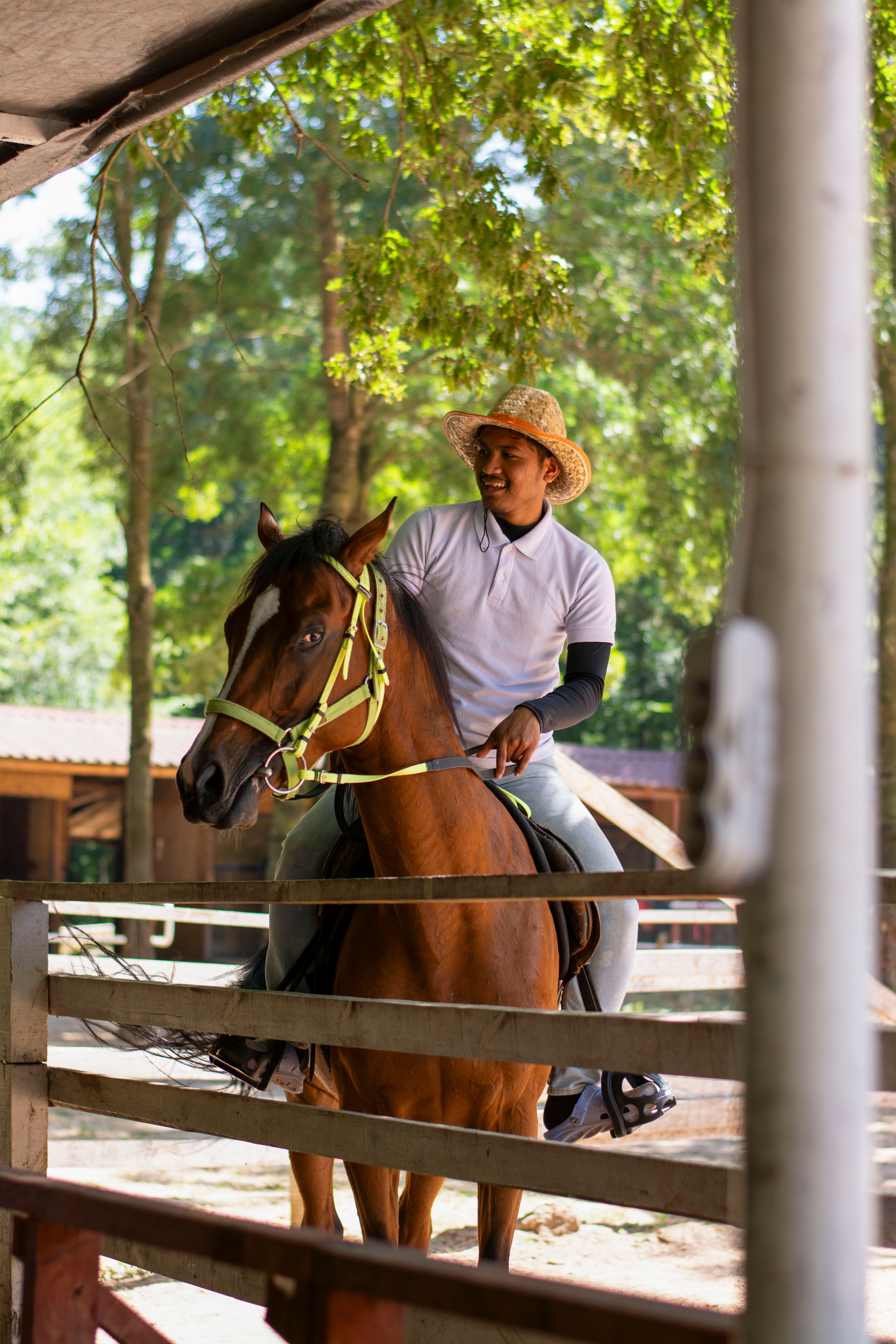 Man Riding a Horse on a Farm · Free Stock Photo