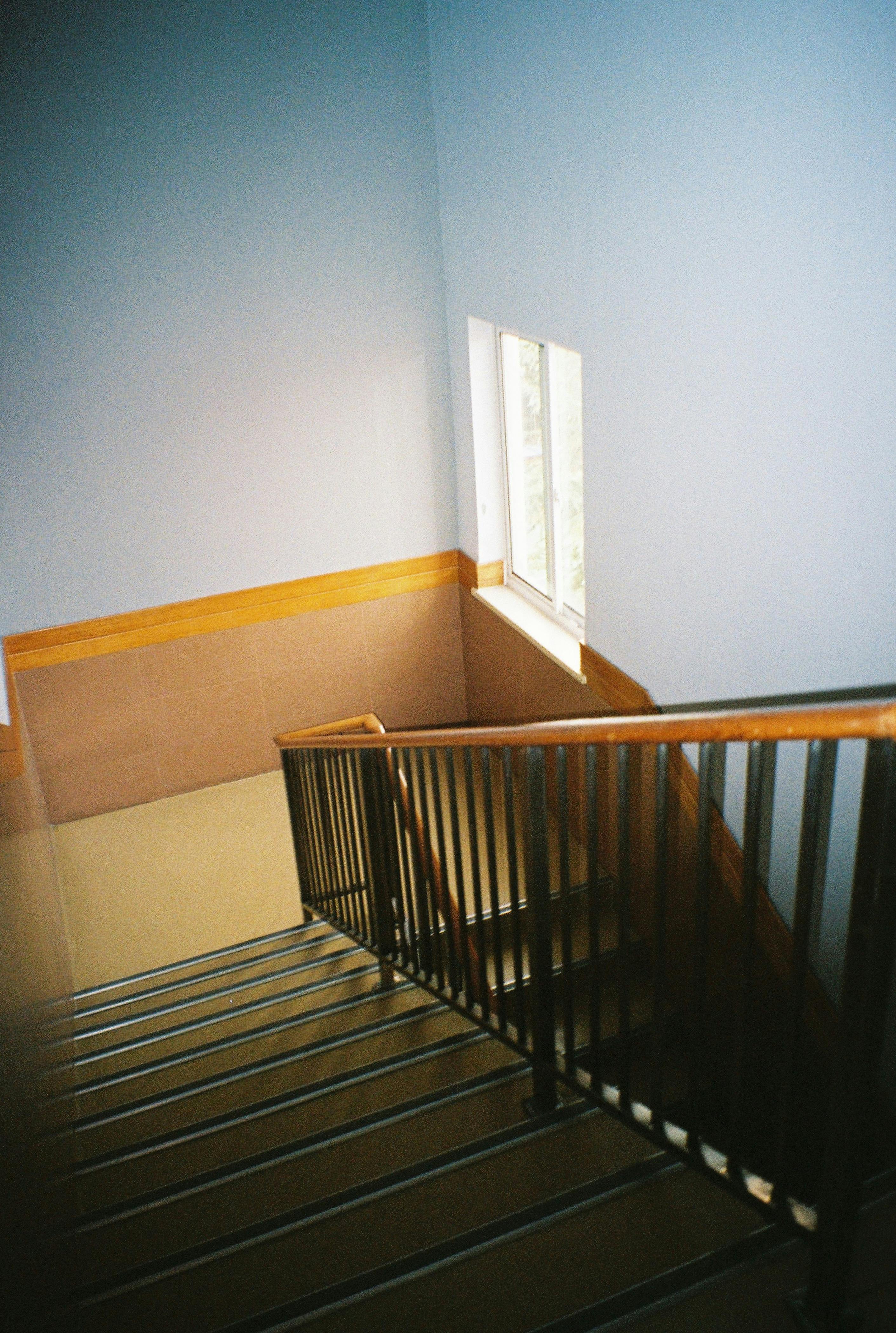 Next Steps Photos, Download The BEST Free Next Steps Stock Photos & HD ...