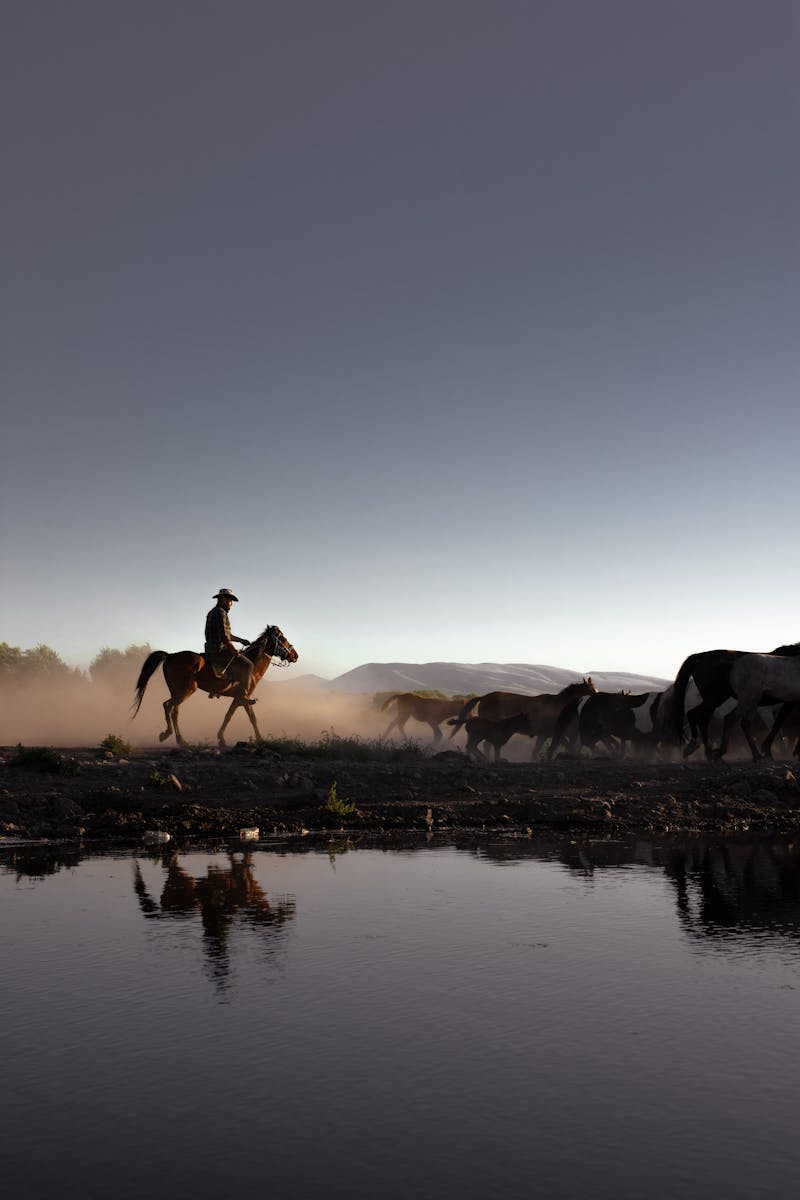 Cowboy Shadow Photos, Download The BEST Free Cowboy Shadow Stock Photos ...