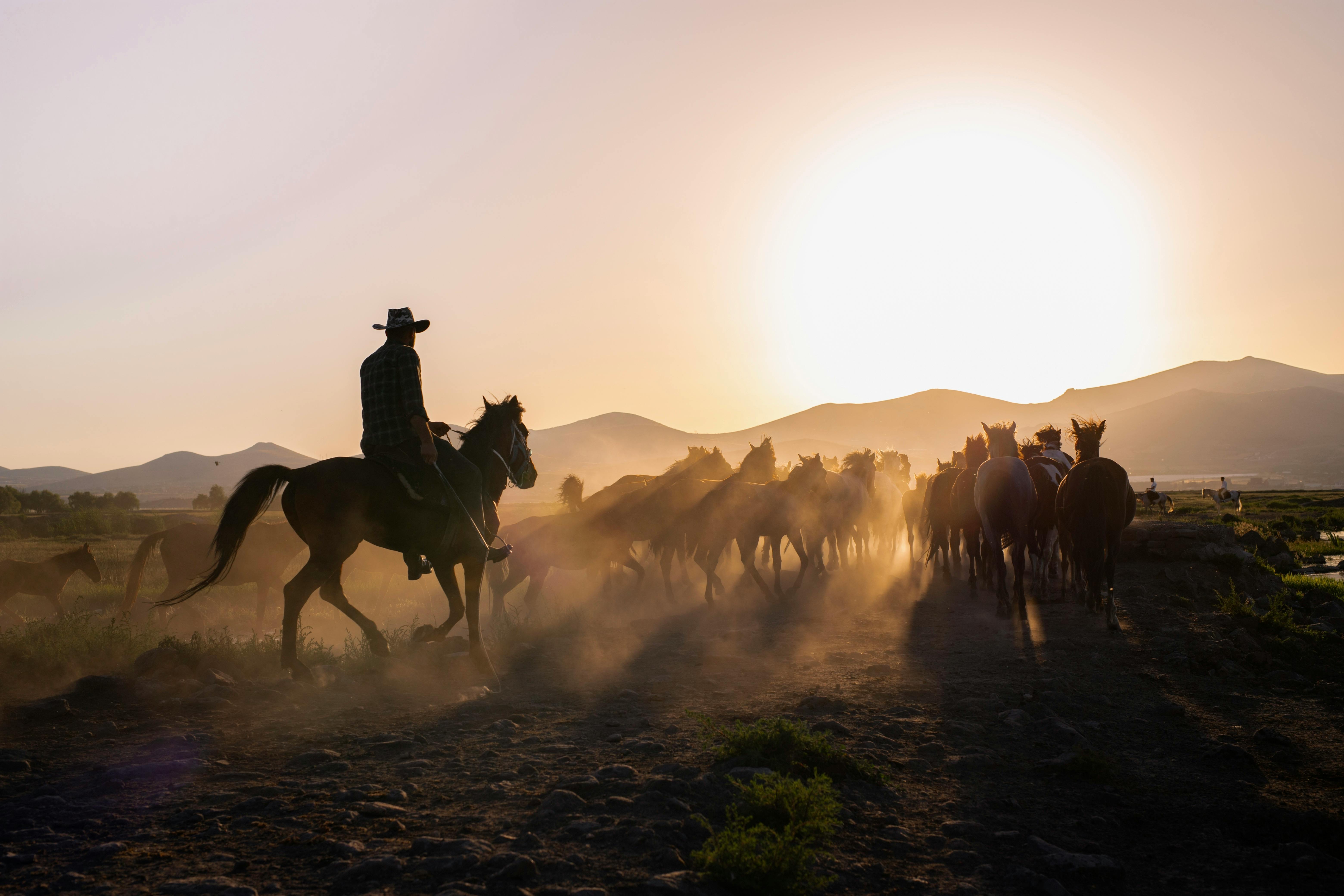 Cowboy Riding a Horse Towards a Sunset · Free Stock Photo