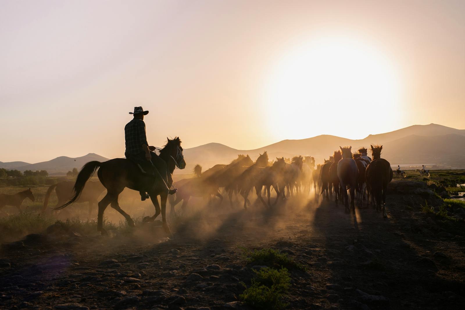 Cowboy Sunset Photos, Download The BEST Free Cowboy Sunset Stock Photos ...