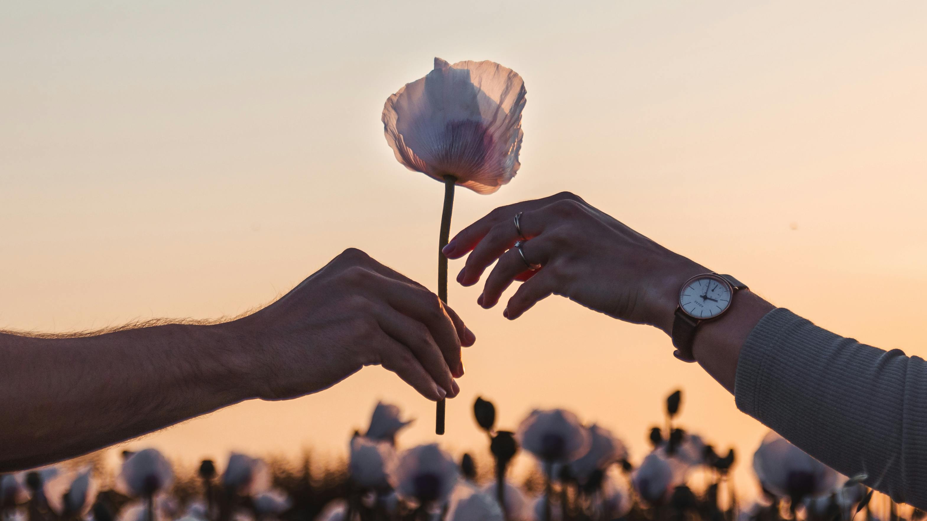 Interchange Of Gifts Photos, Download The BEST Free Interchange Of ...