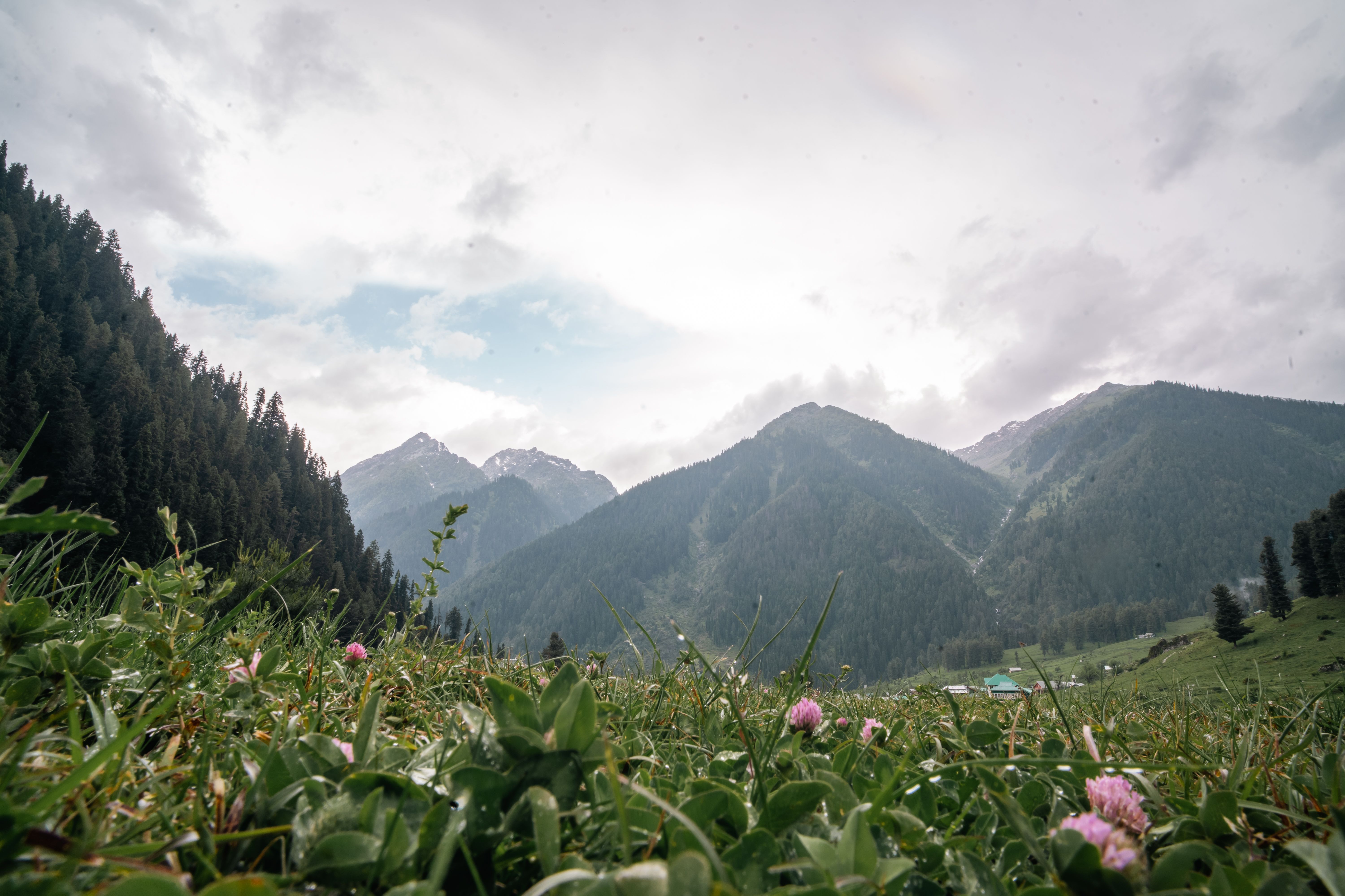 Scenic Mountain View in Pahalgam with Green Roof House · Free Stock Photo