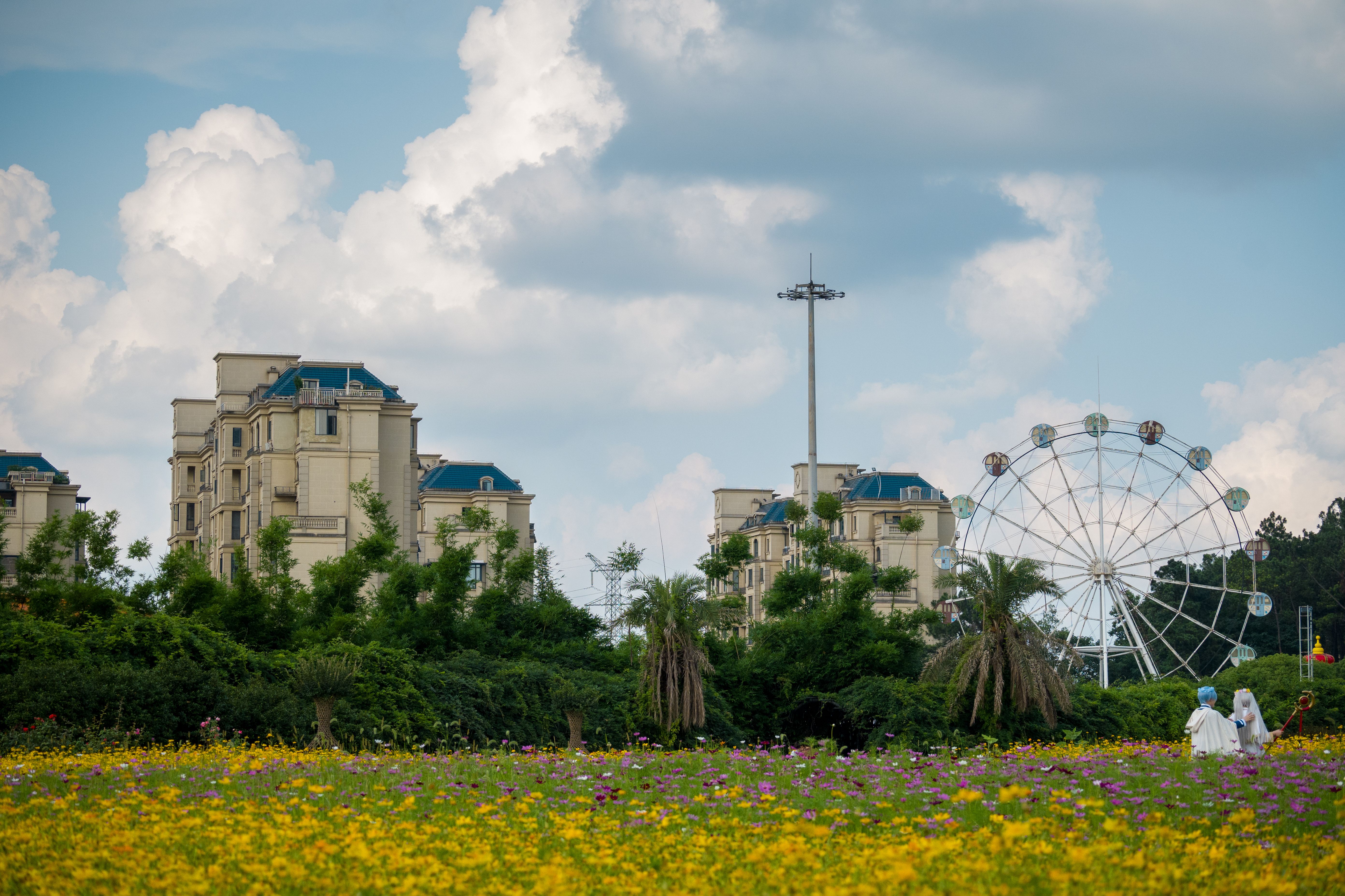 Buildings and Ferris Wheel near Meadow · Free Stock Photo