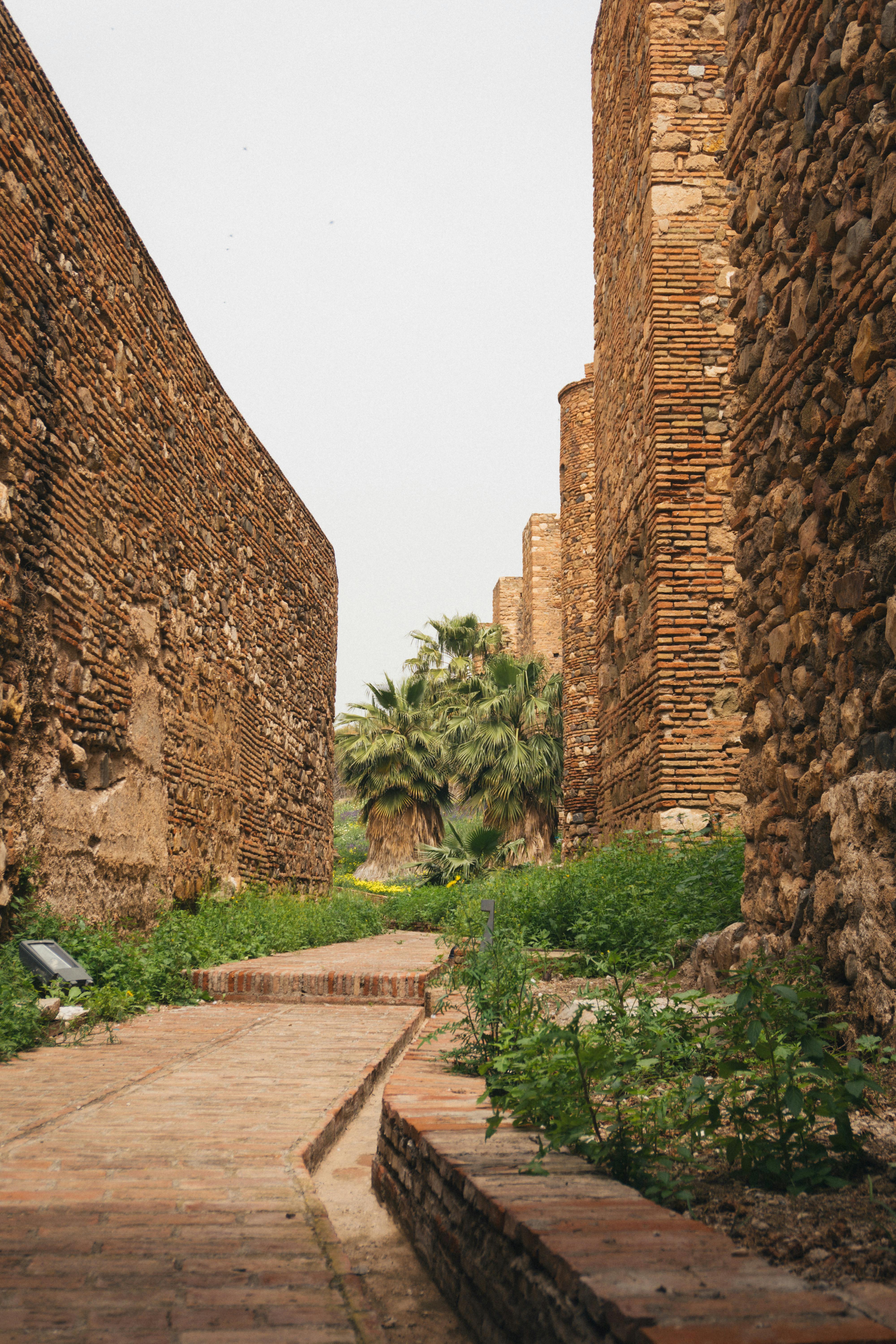A narrow path between two brick walls · Free Stock Photo