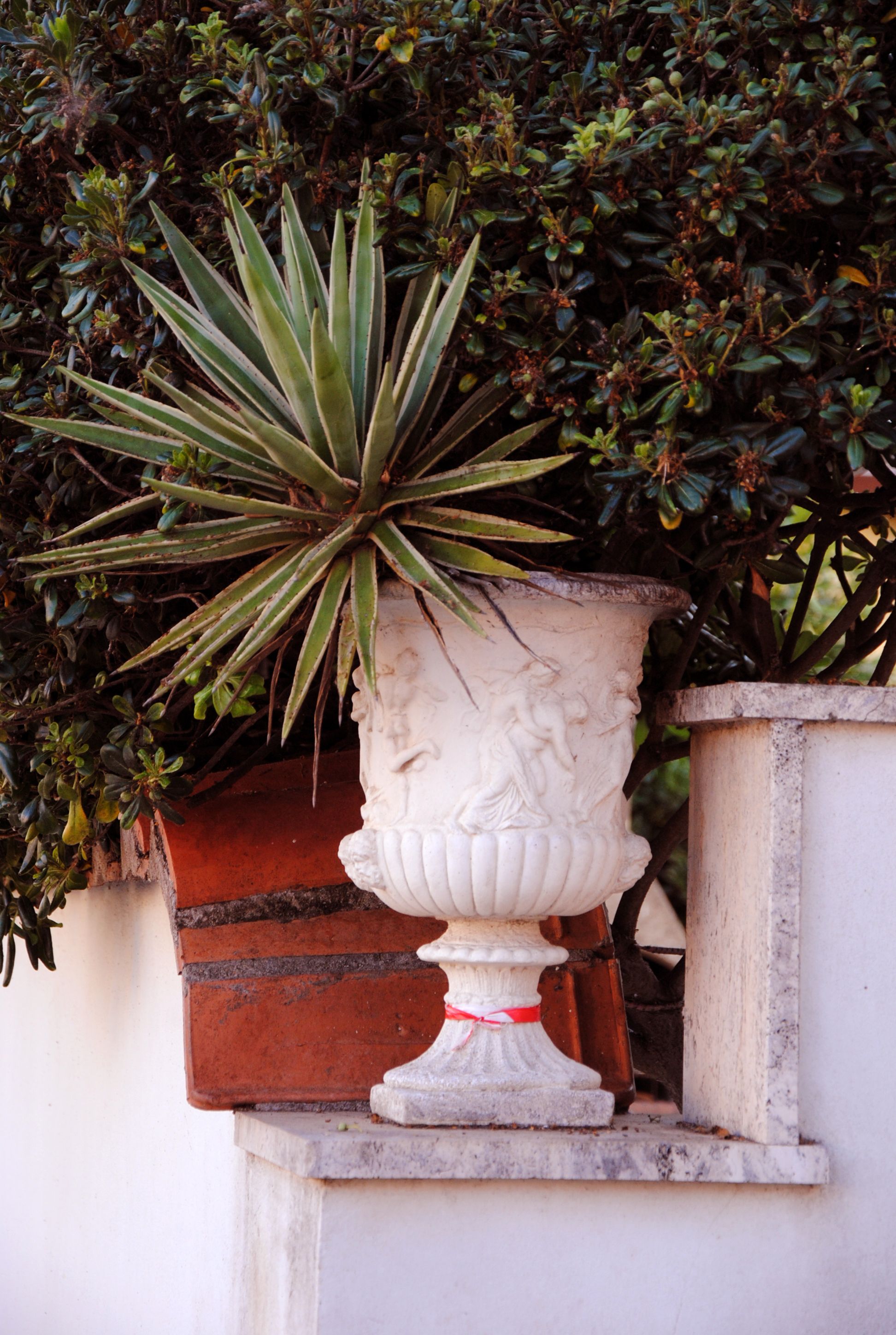 Plants Growing in a Decorative Sculpted Pot in a Garden · Free Stock Photo