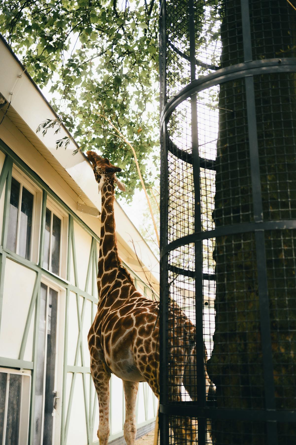 Zoo Building Photos, Download The BEST Free Zoo Building Stock Photos ...