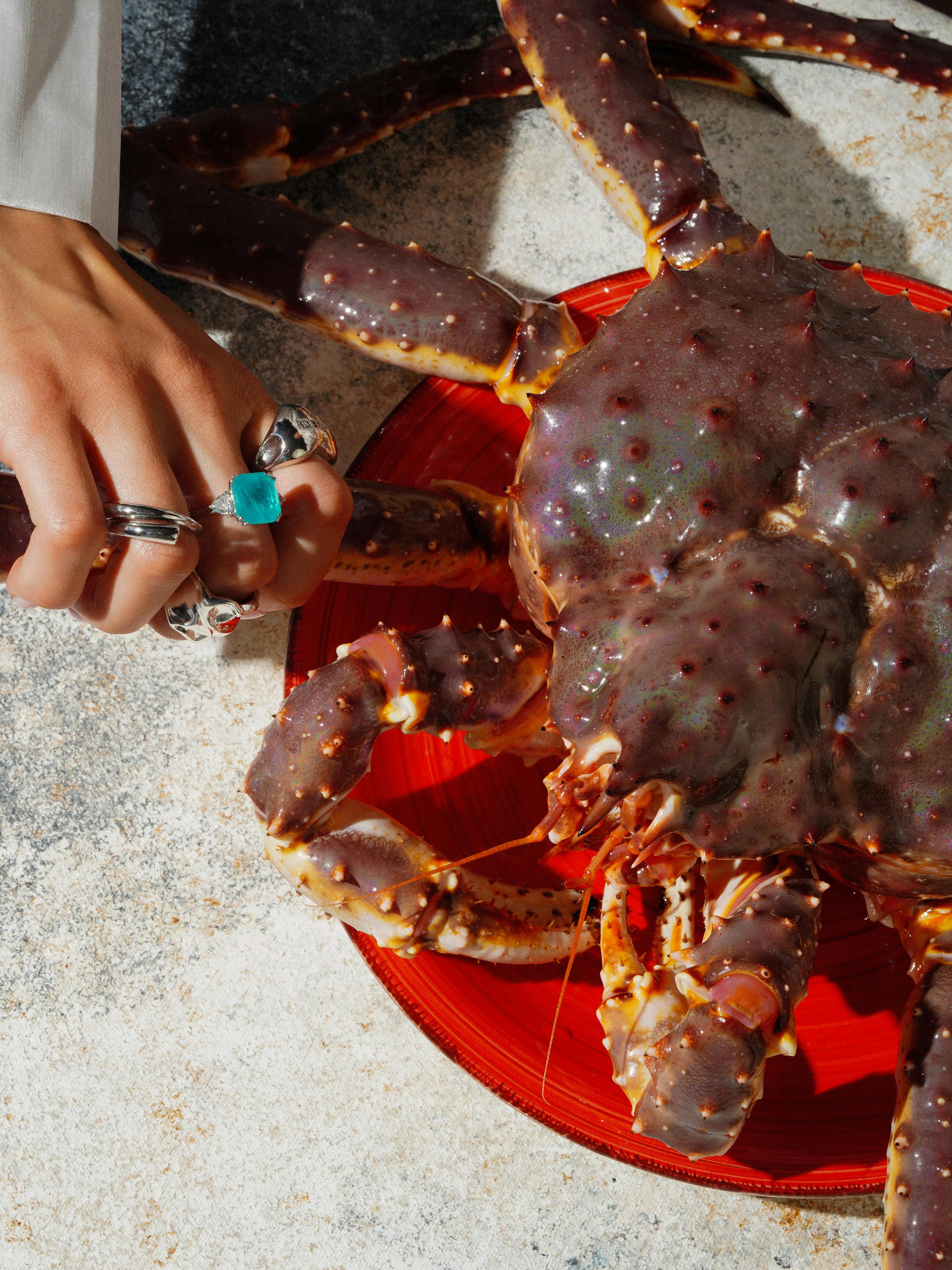 Crab Toe Touches Photos, Download The BEST Free Crab Toe Touches Stock ...