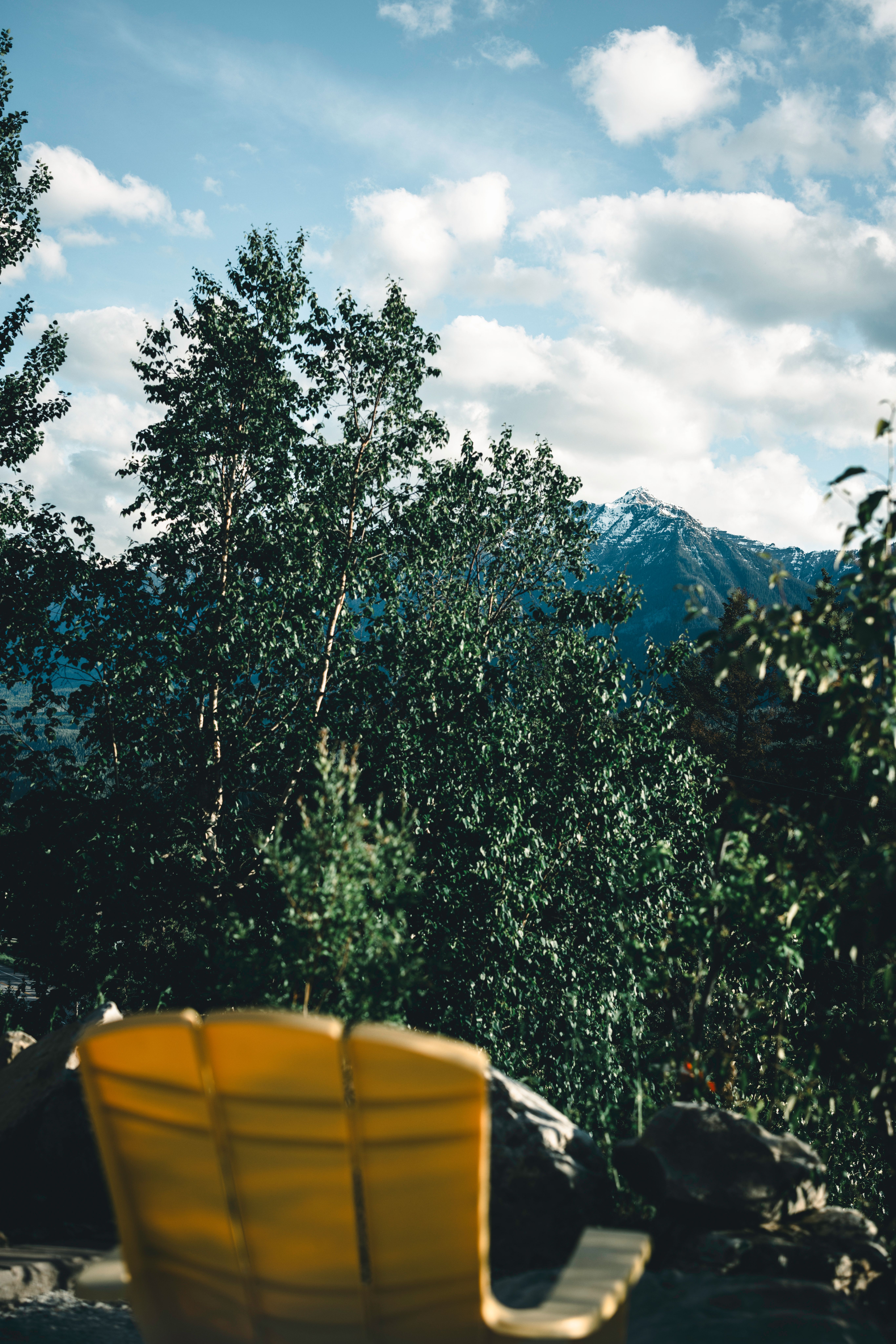 Back View of a Chair Overlooking the Forest · Free Stock Photo