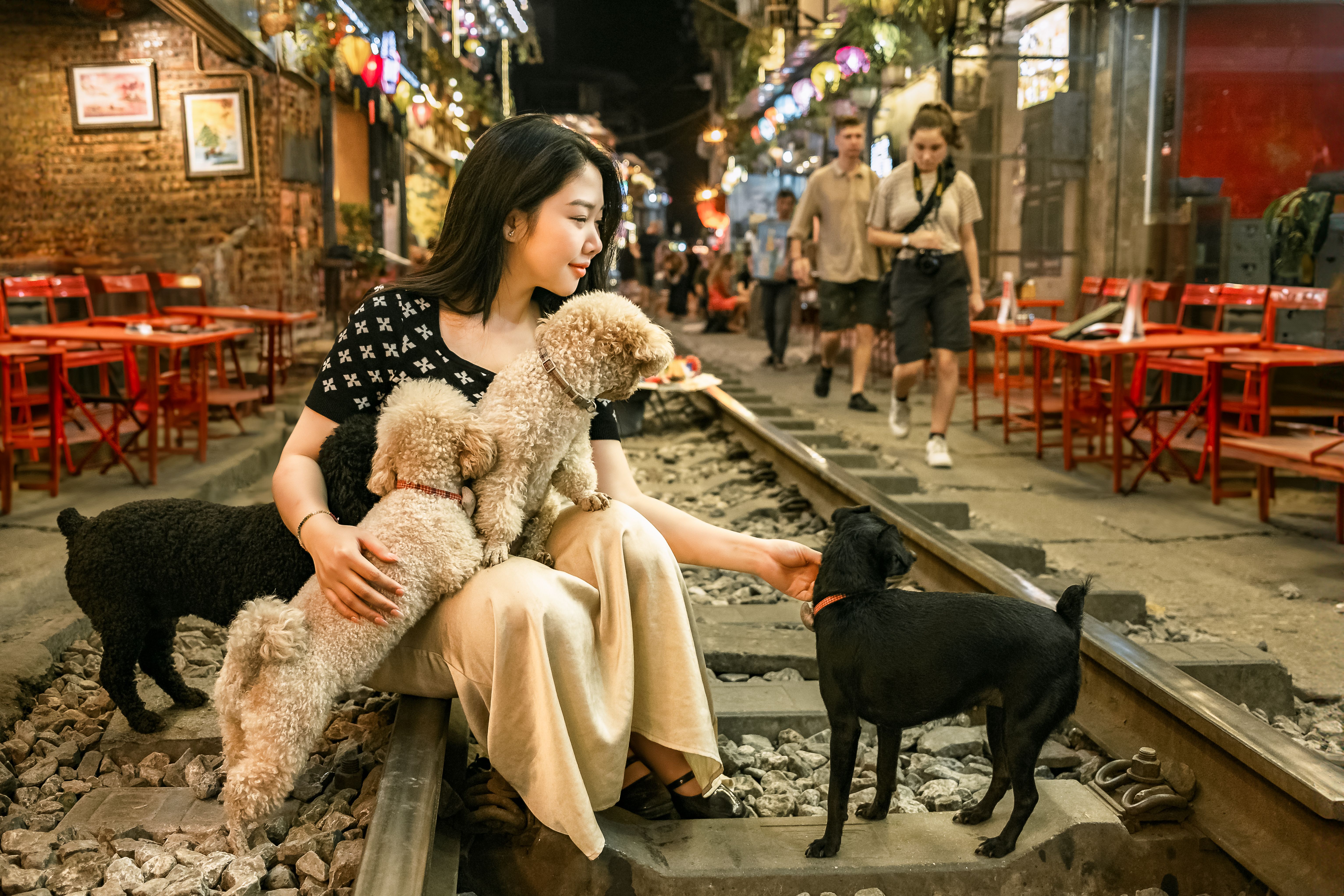 A Young Woman Sitting on the Hanoi Train Street with Dogs · Free Stock ...