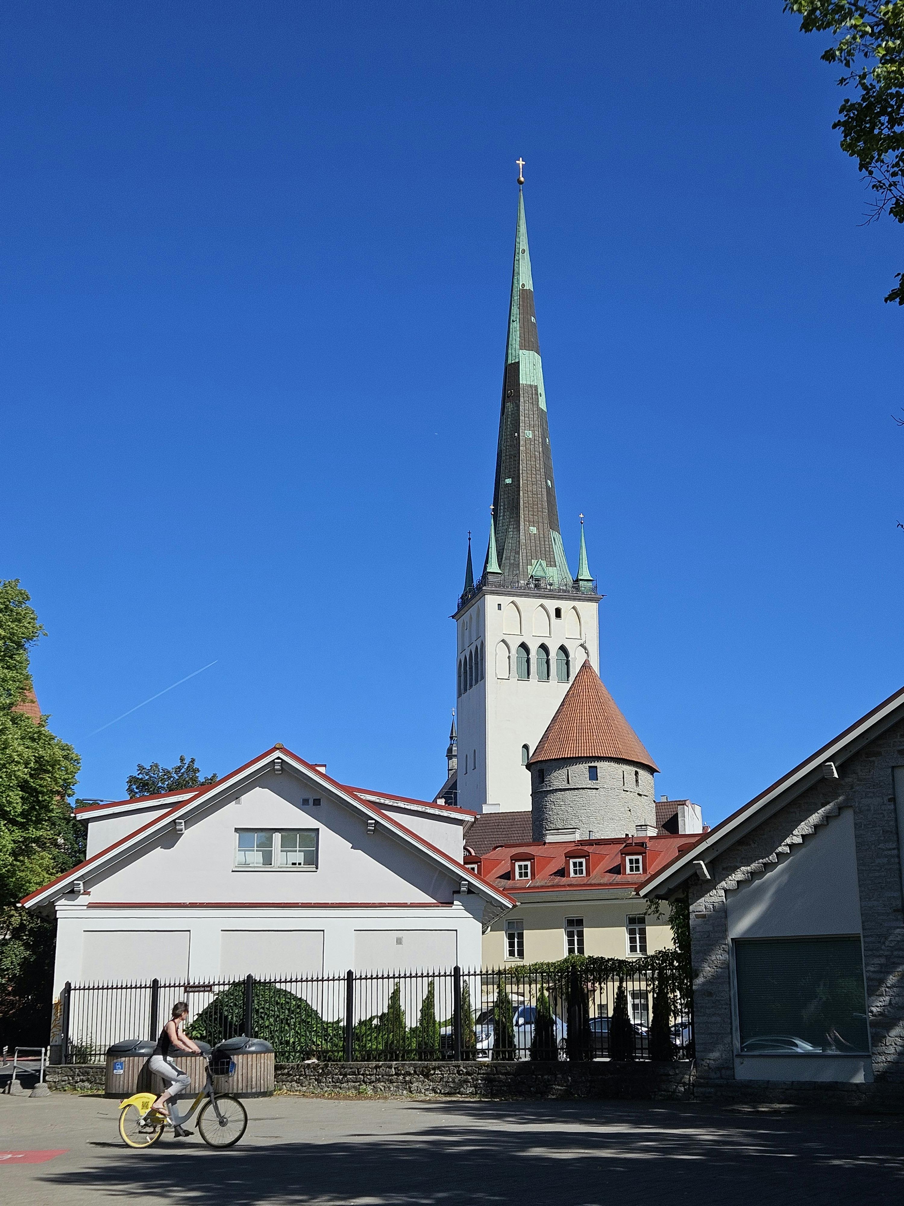 Tall Photos, Download The BEST Free Tall Stock Photos & HD Images