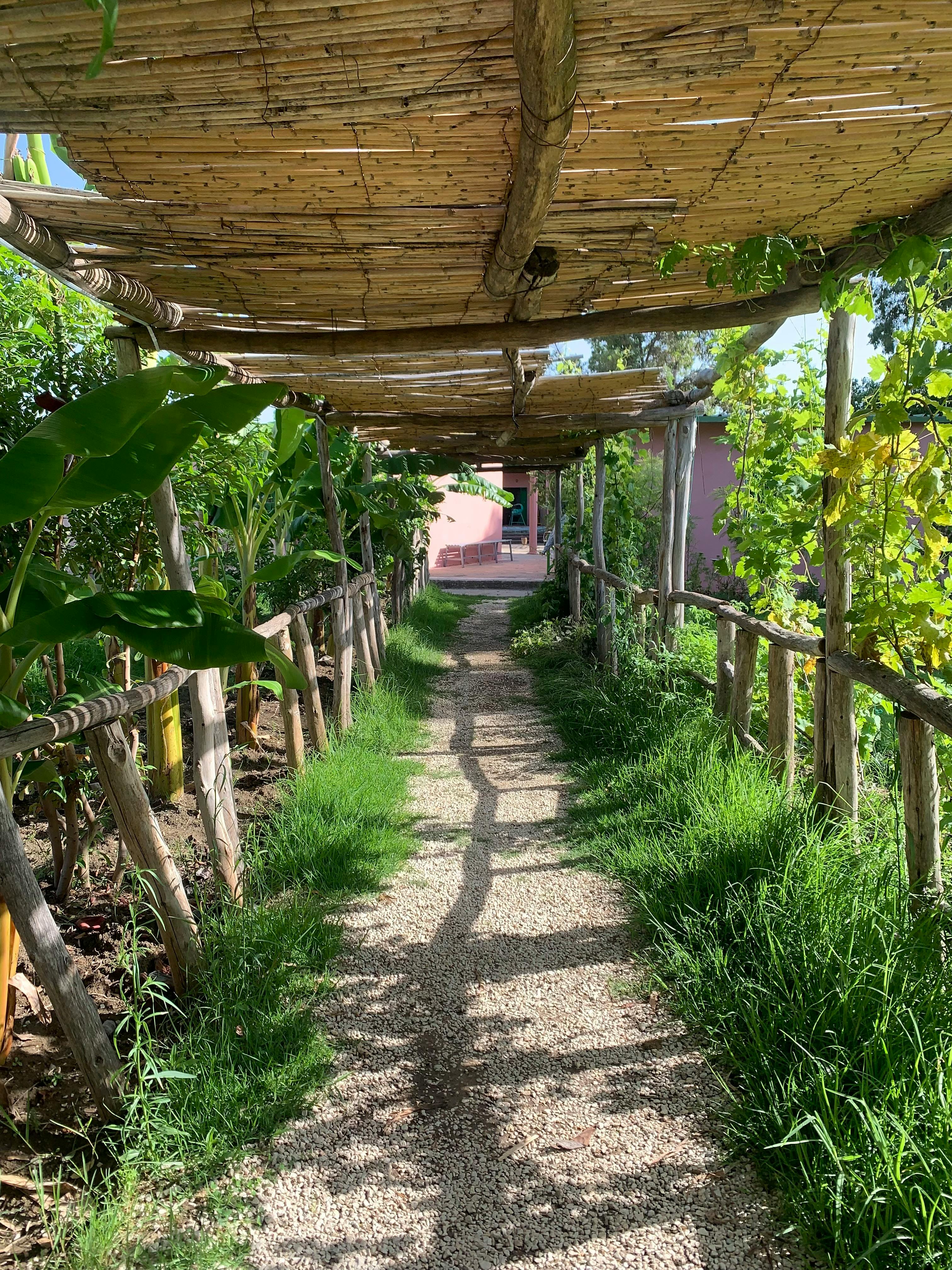 Cover over Footpath at Farm · Free Stock Photo