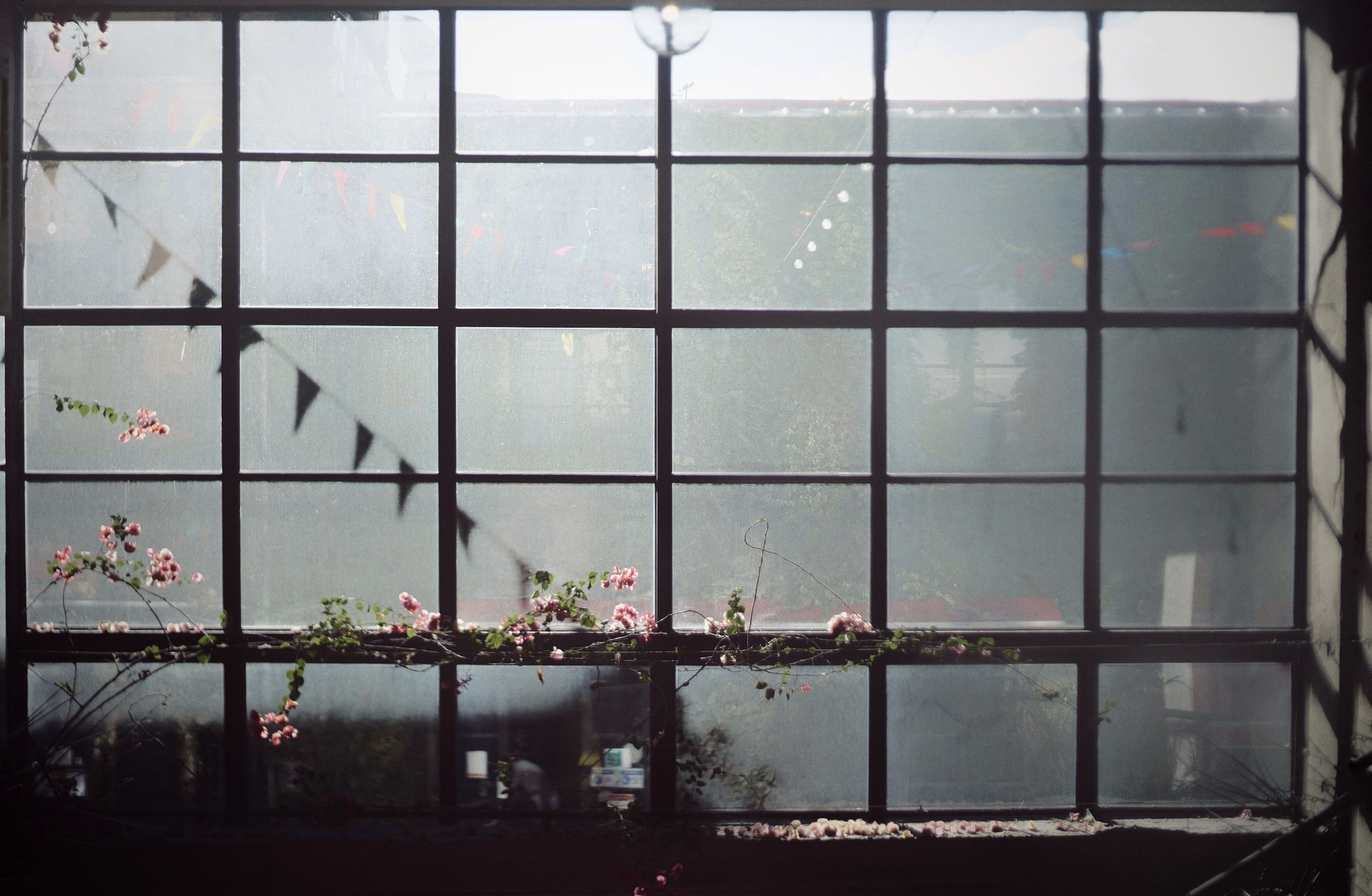 Vakho Dolidze - Photography