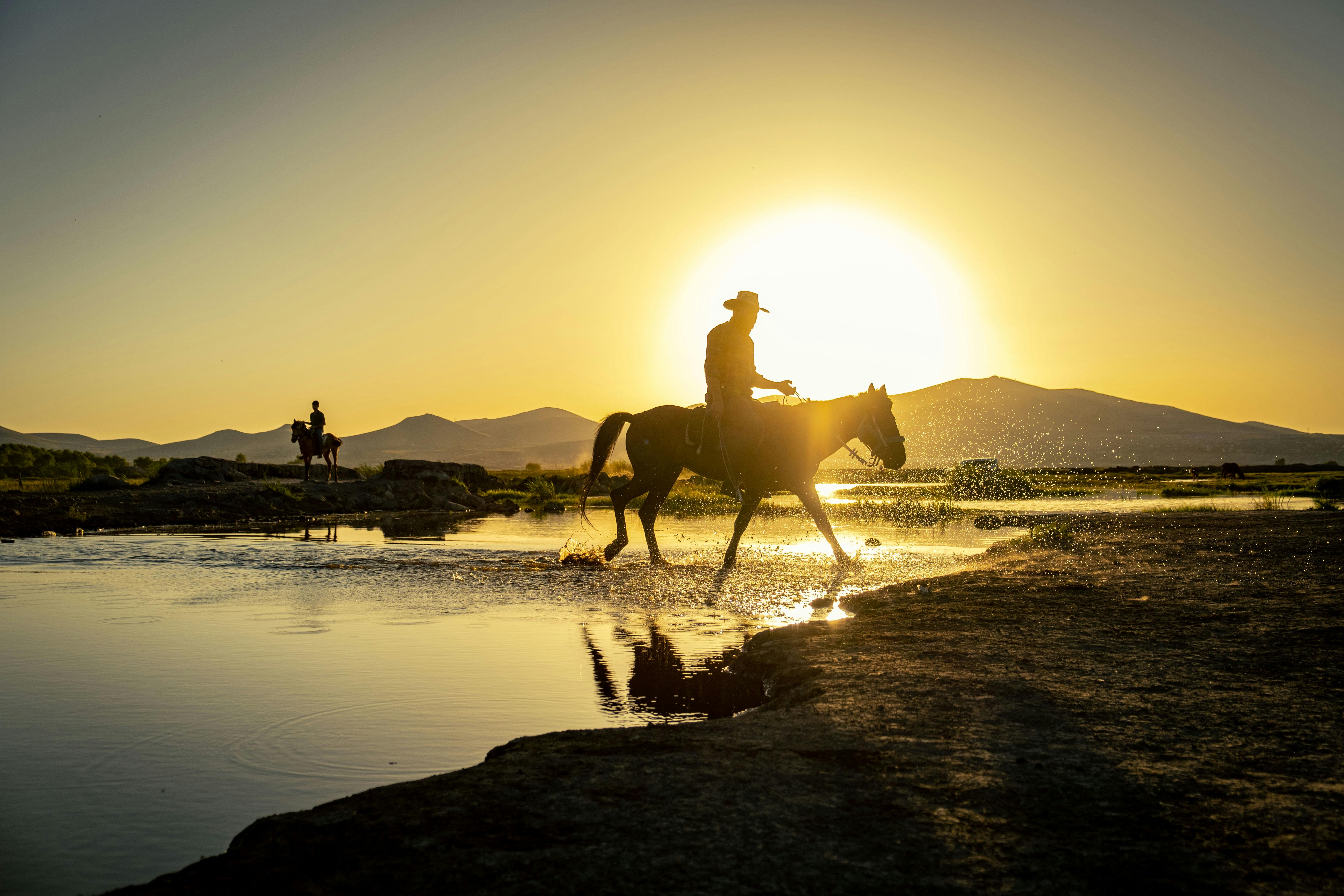 Horseback Riding at Sunrise · Free Stock Photo