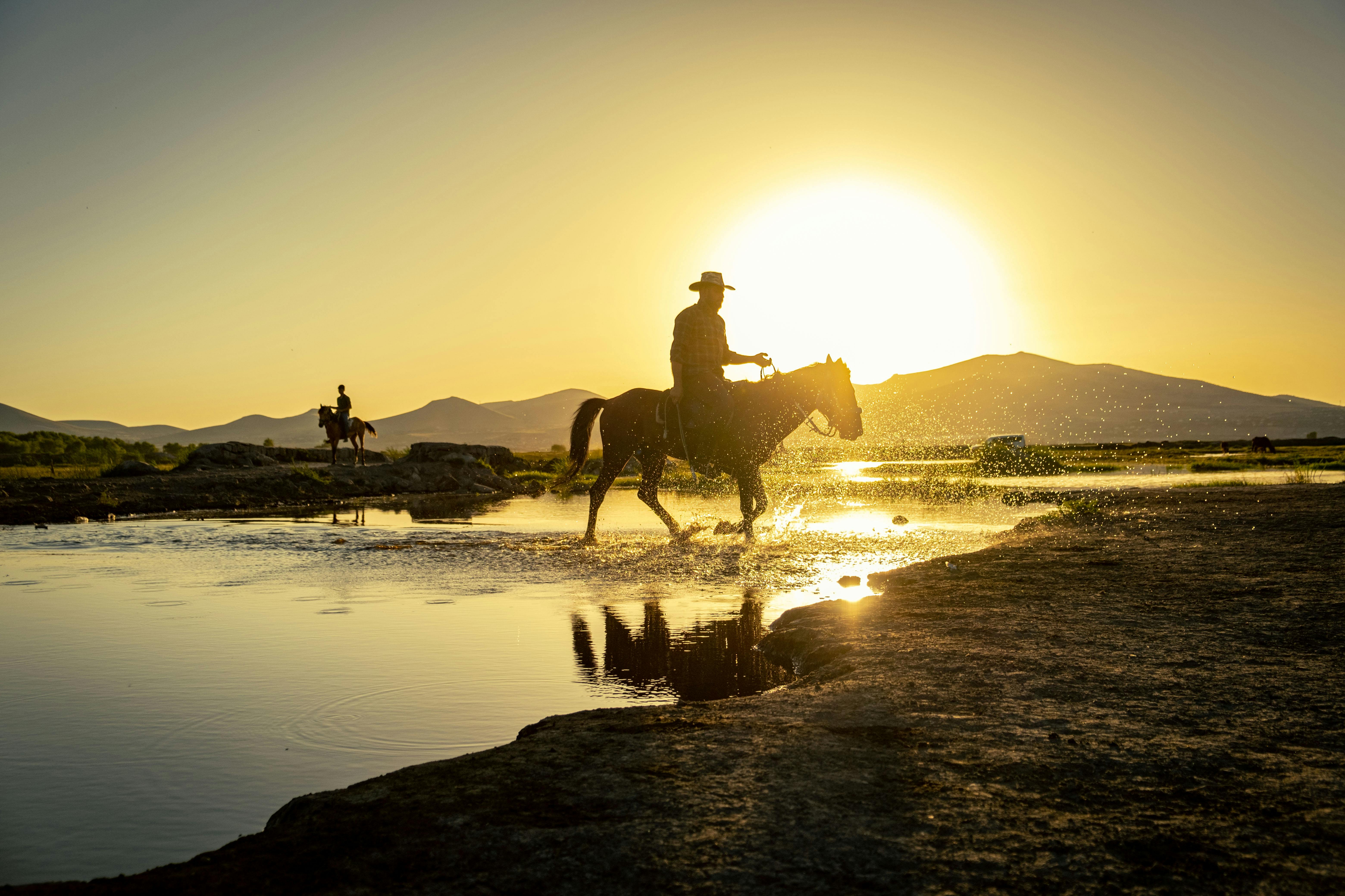 Horseback Riding in Morning Sunlight · Free Stock Photo