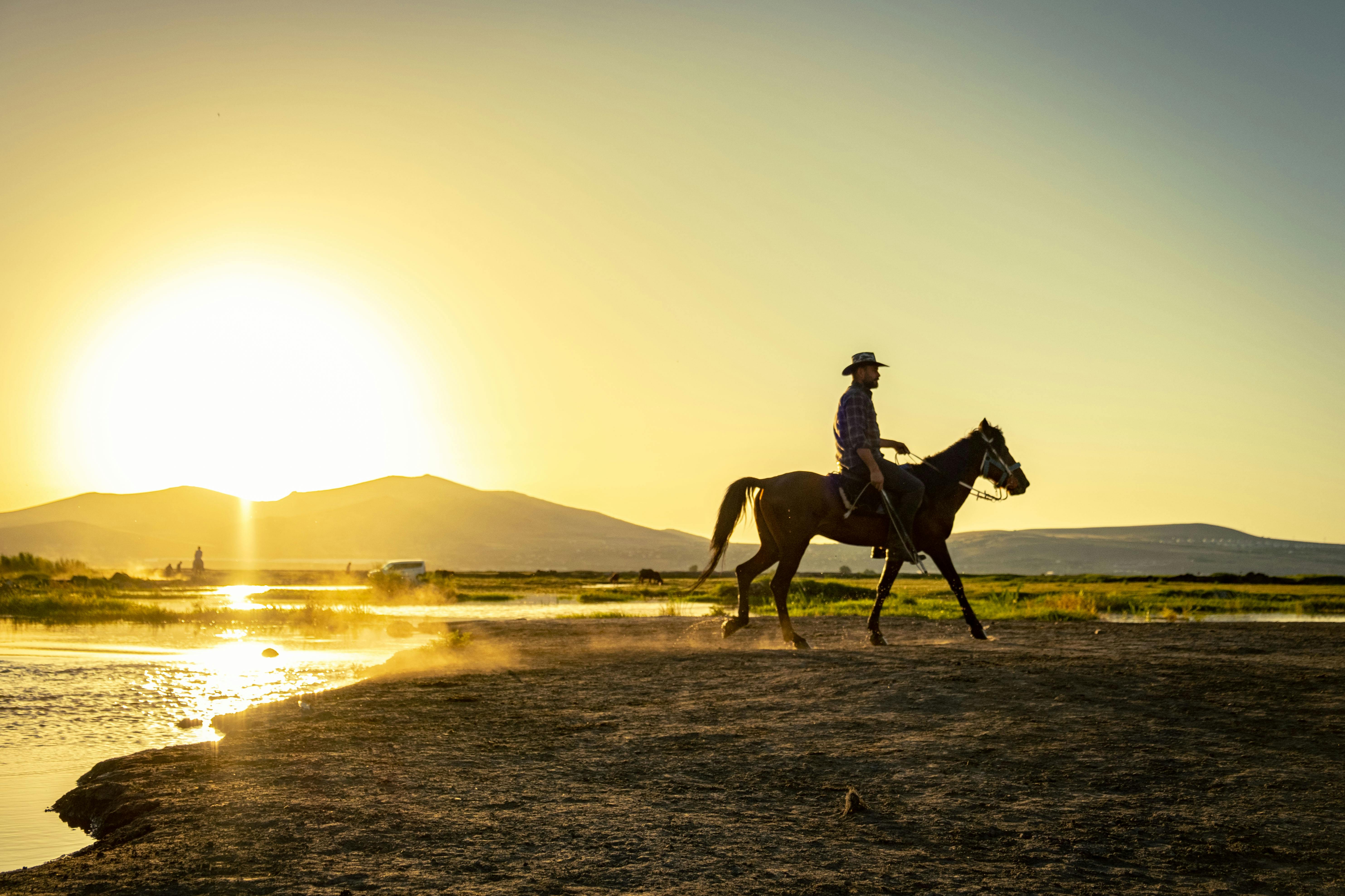 Cowboy Riding Horse at Sunset · Free Stock Photo