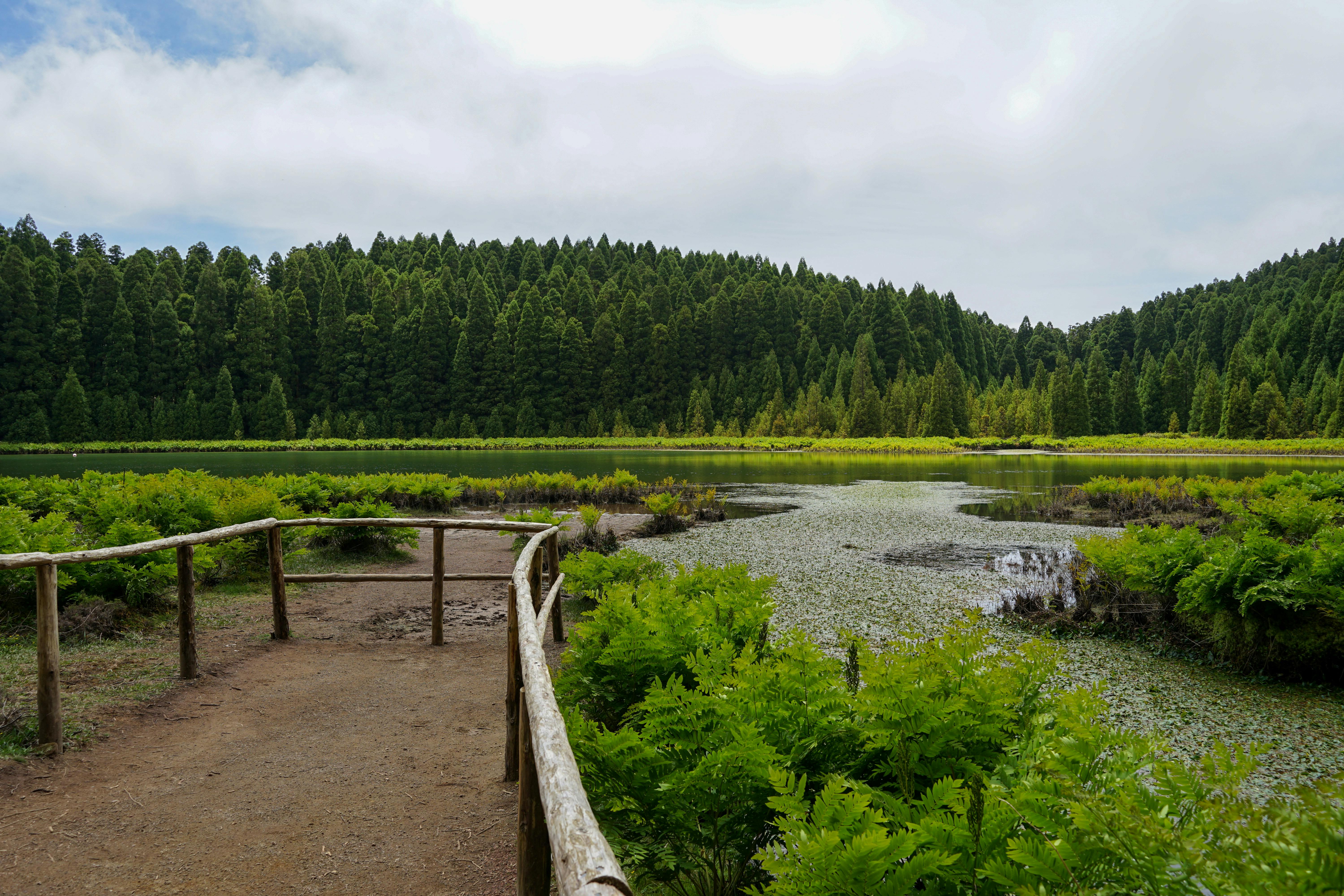 Wide Angle Shot of a Lake · Free Stock Photo