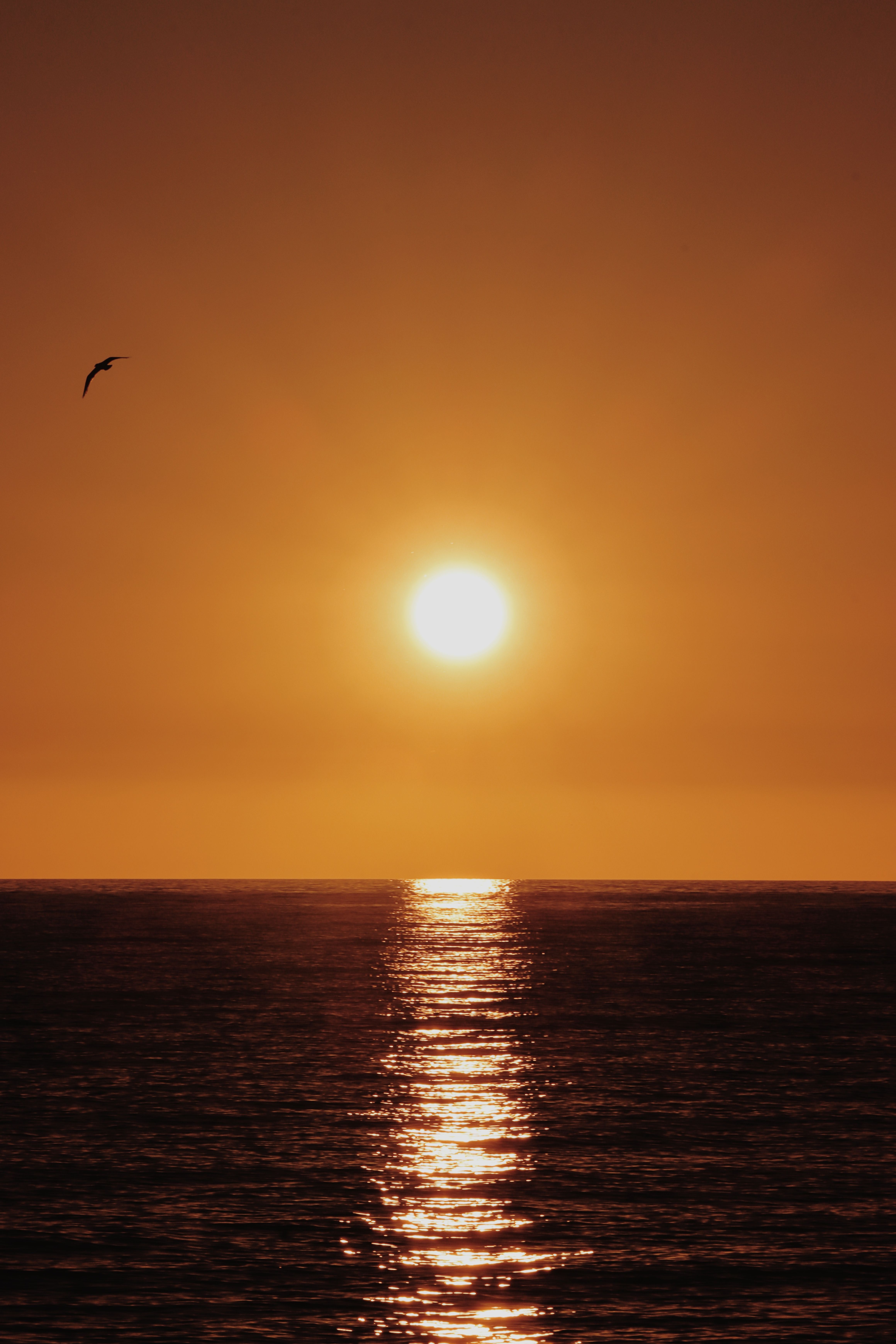 Sunset · Free Stock Photo