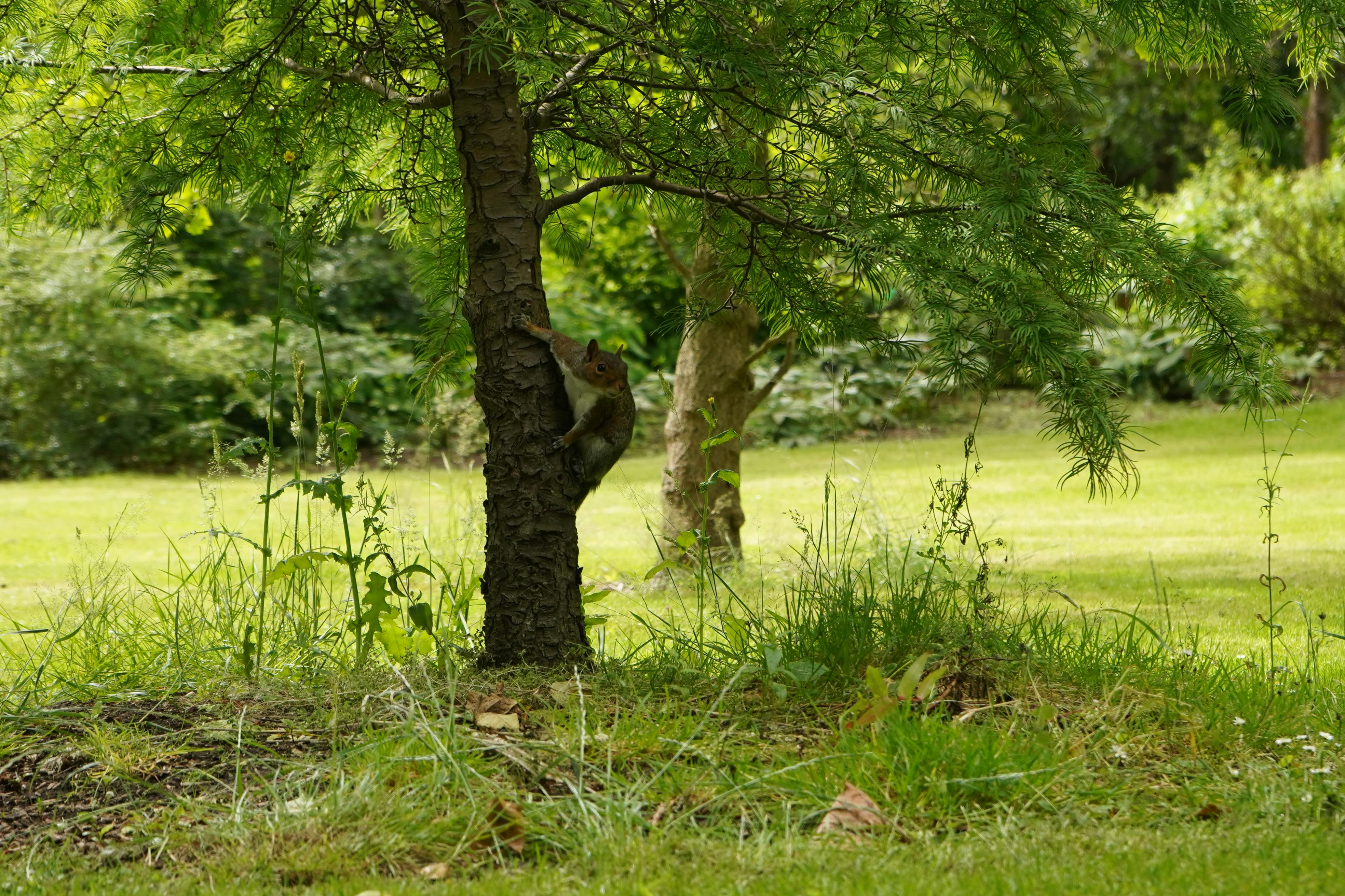 Edinburgh Play Park Photos, Download The BEST Free Edinburgh Play Park ...
