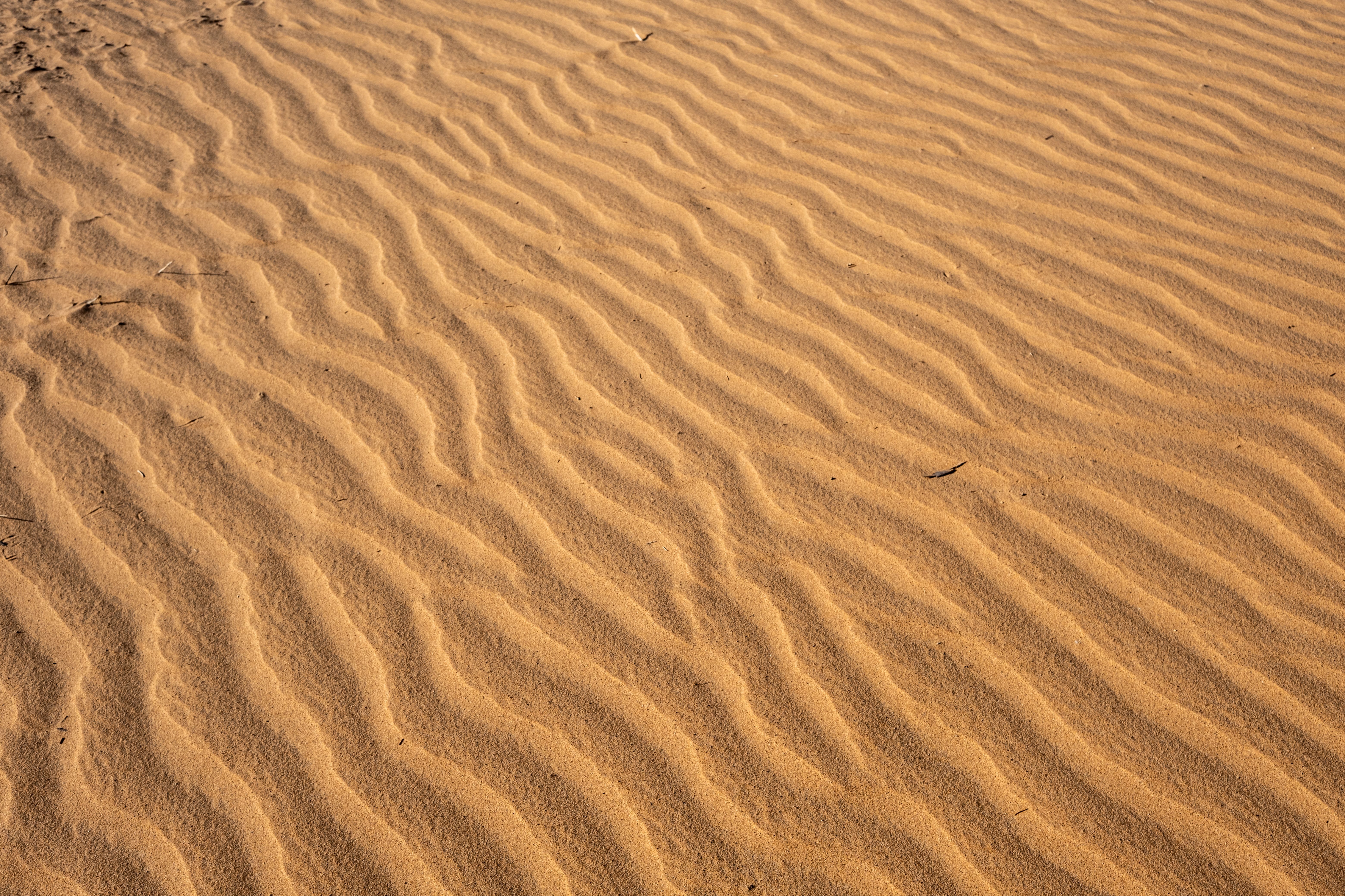 Shapes on Desert Sand · Free Stock Photo