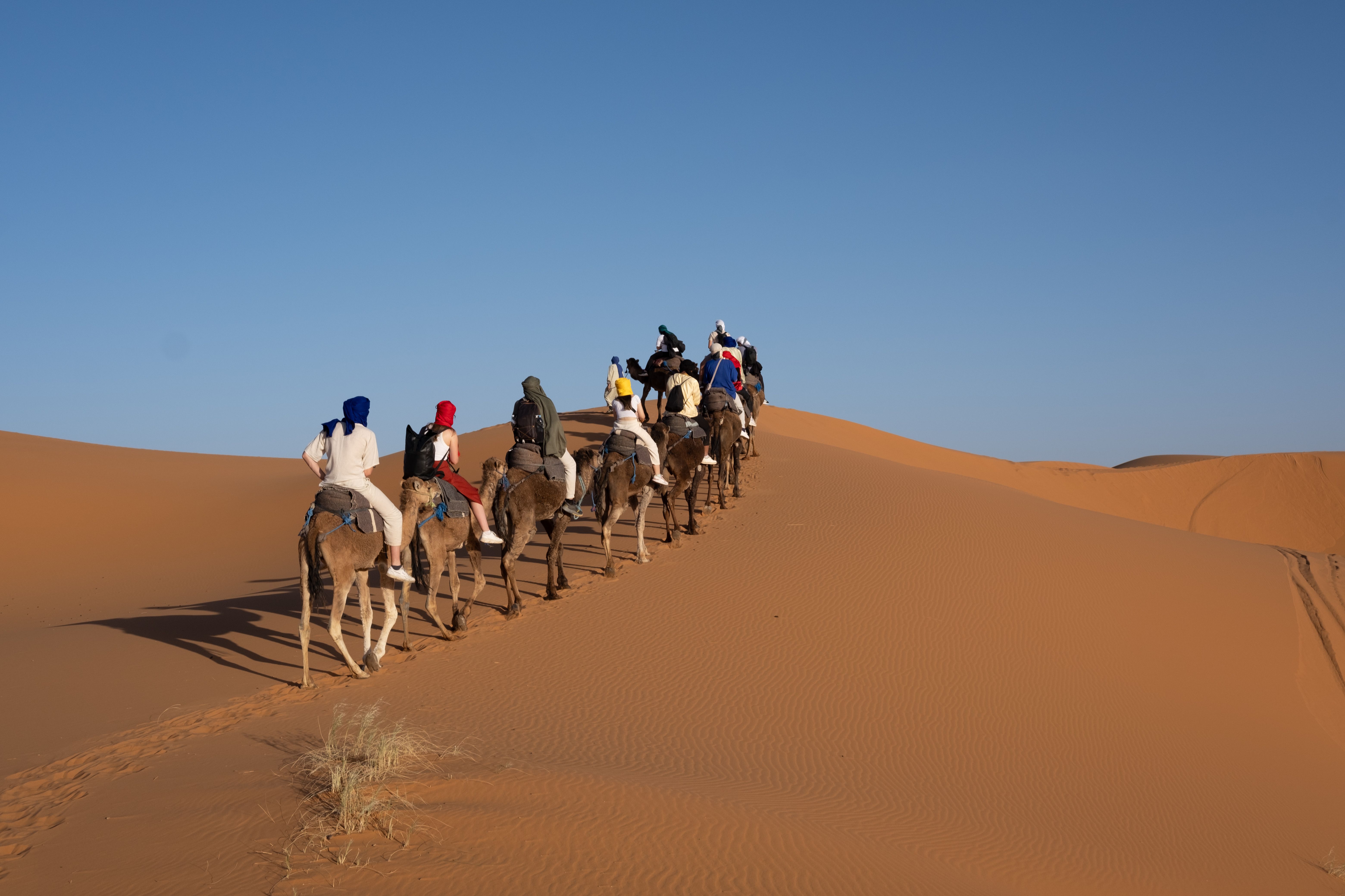 A group of people riding camels through the desert · Free Stock Photo