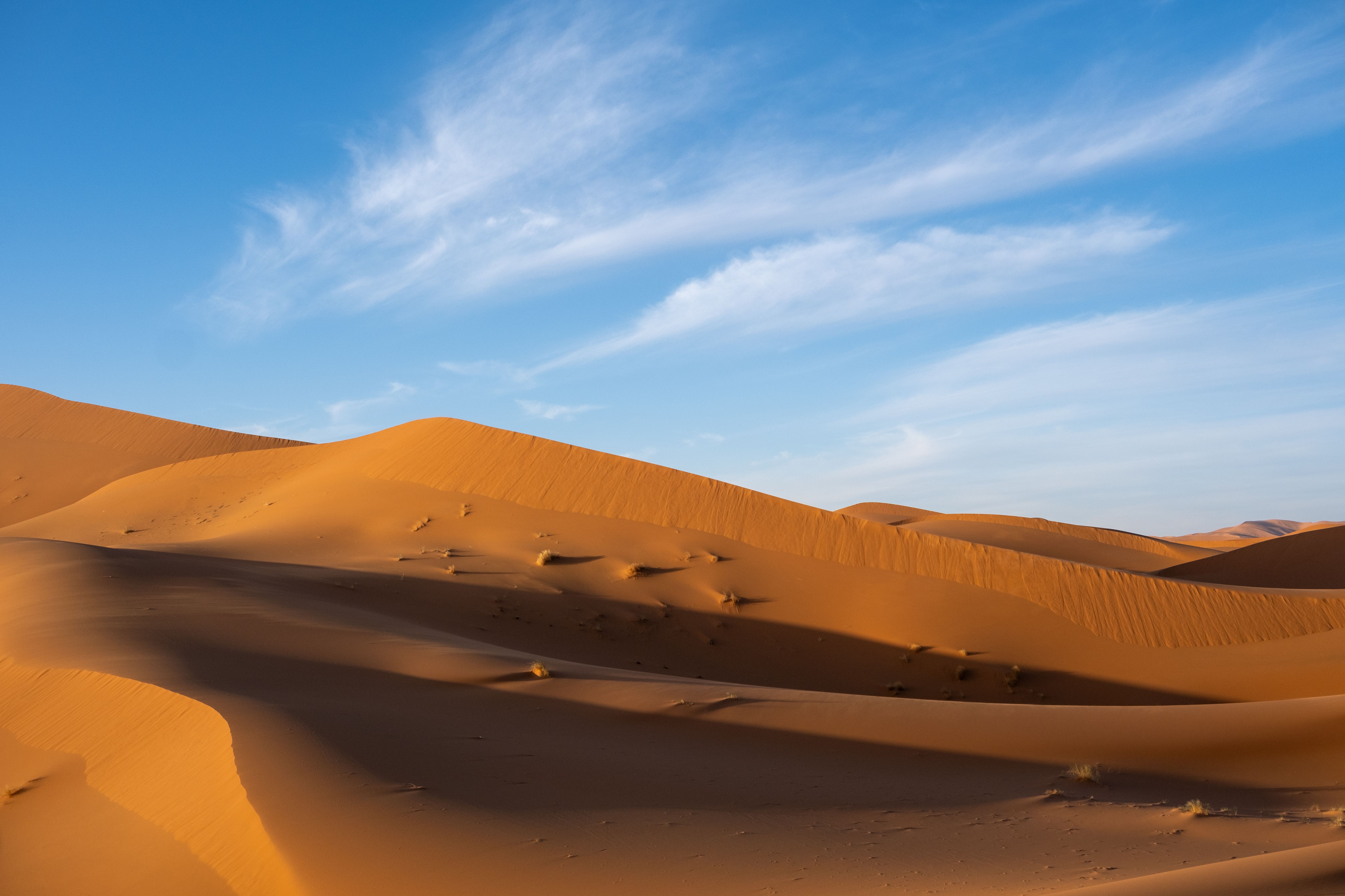 Golden Sahara Desert Dunes at Sunset · Free Stock Photo