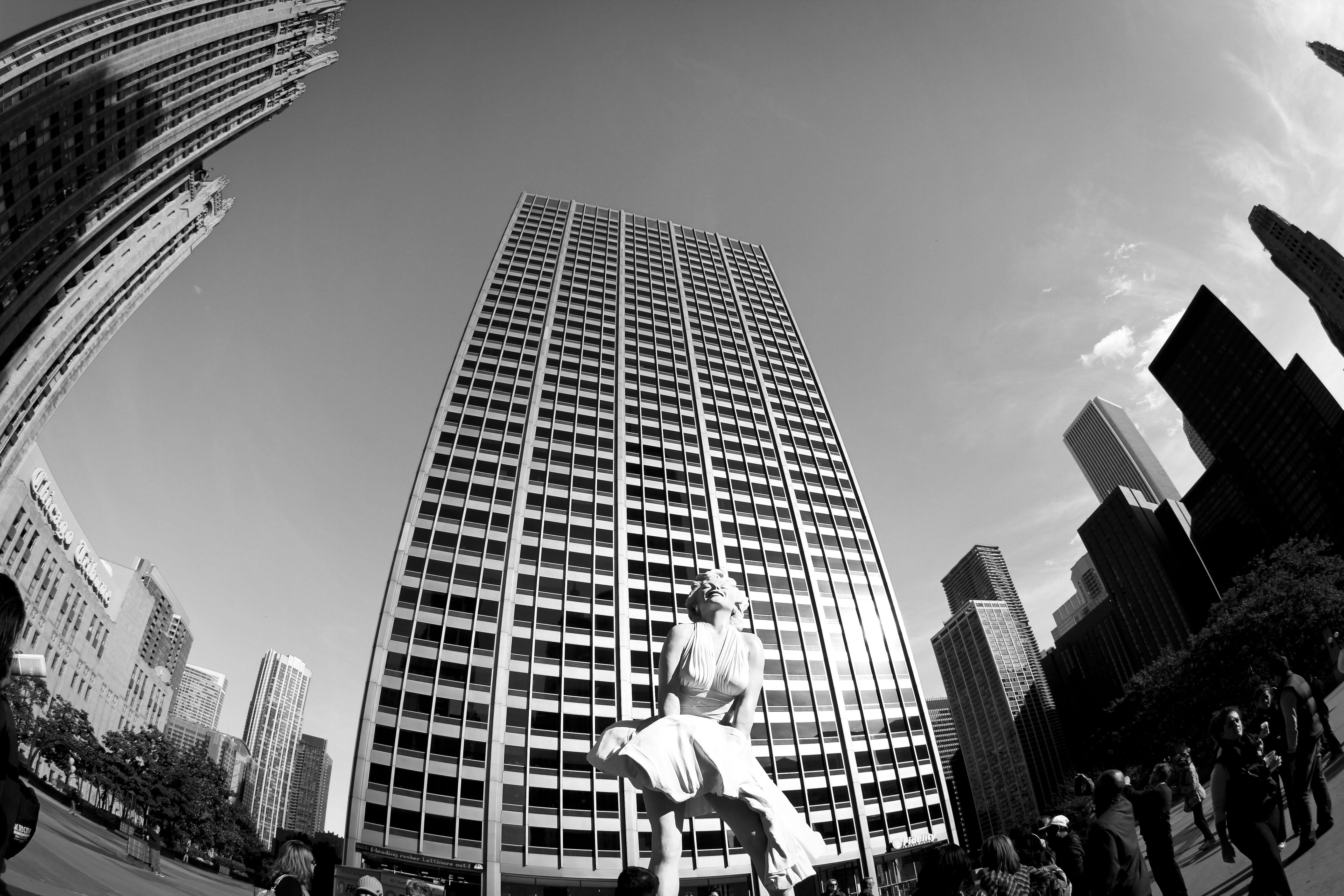 Celebrity Homage Photos, Download The BEST Free Celebrity Homage Stock ...