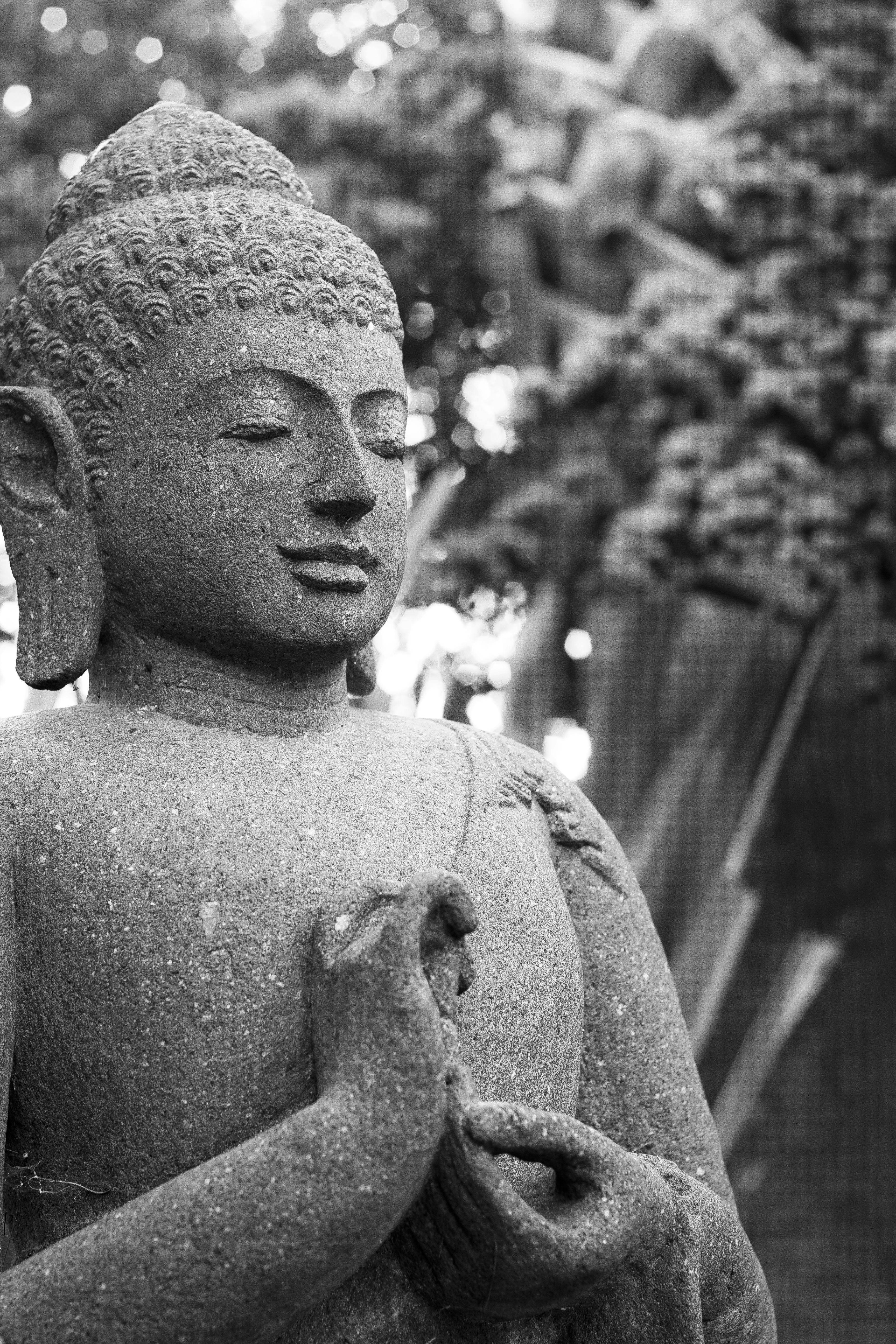 Statue of Stone Buddha · Free Stock Photo