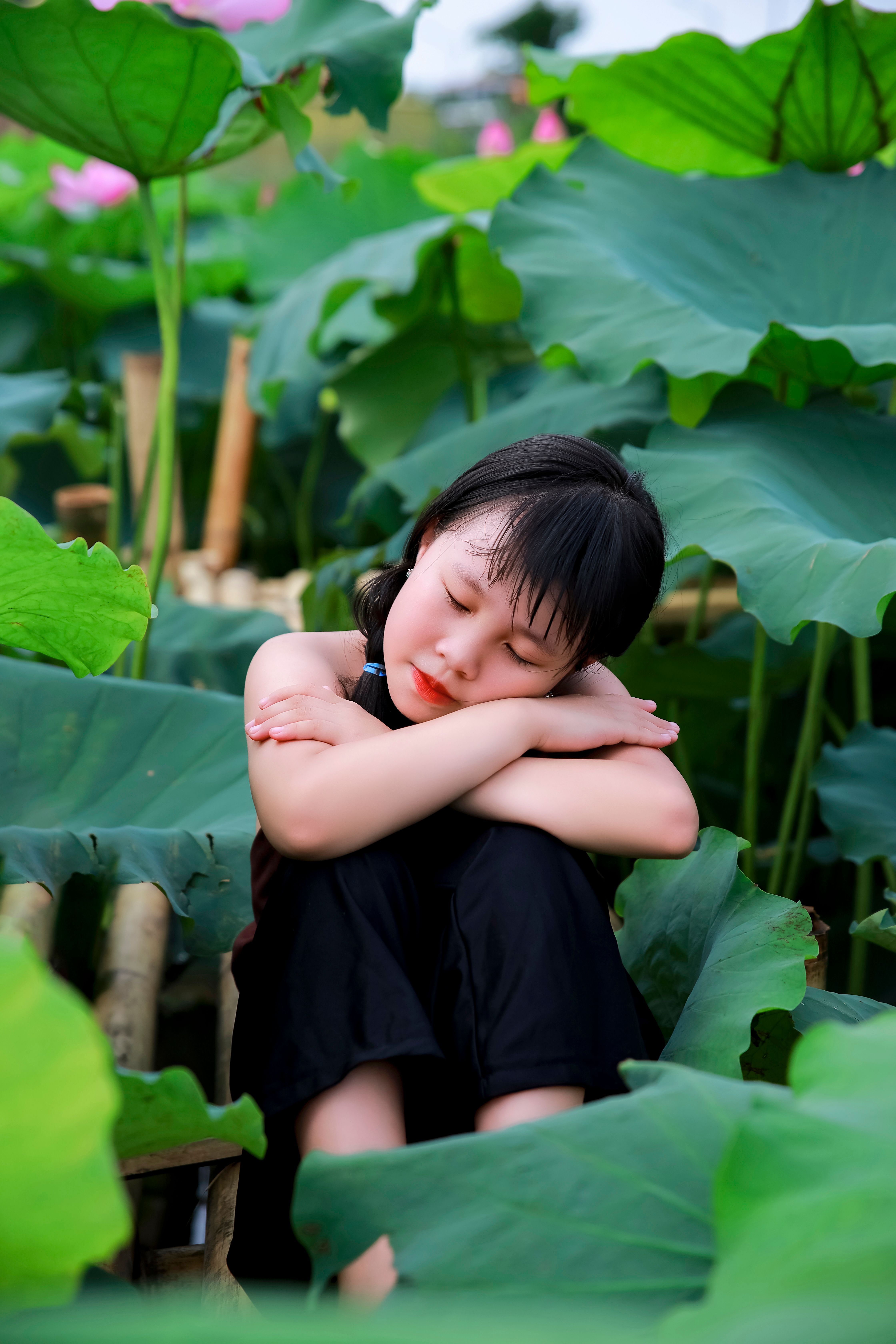 A young girl is sitting on top of lotus plants · Free Stock Photo