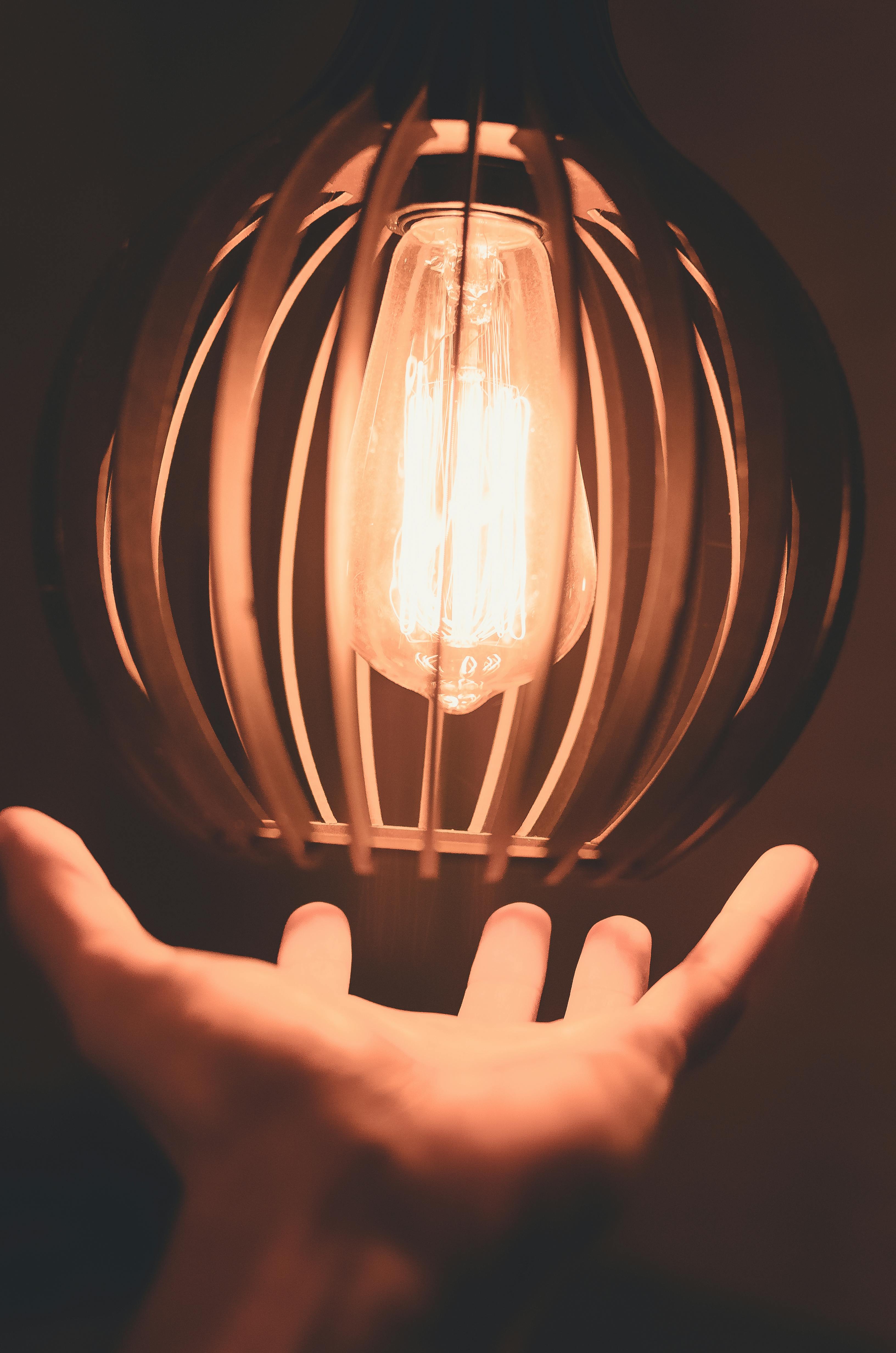 Felipe Albert 25 Photos & Videos Collected by Renan Lima