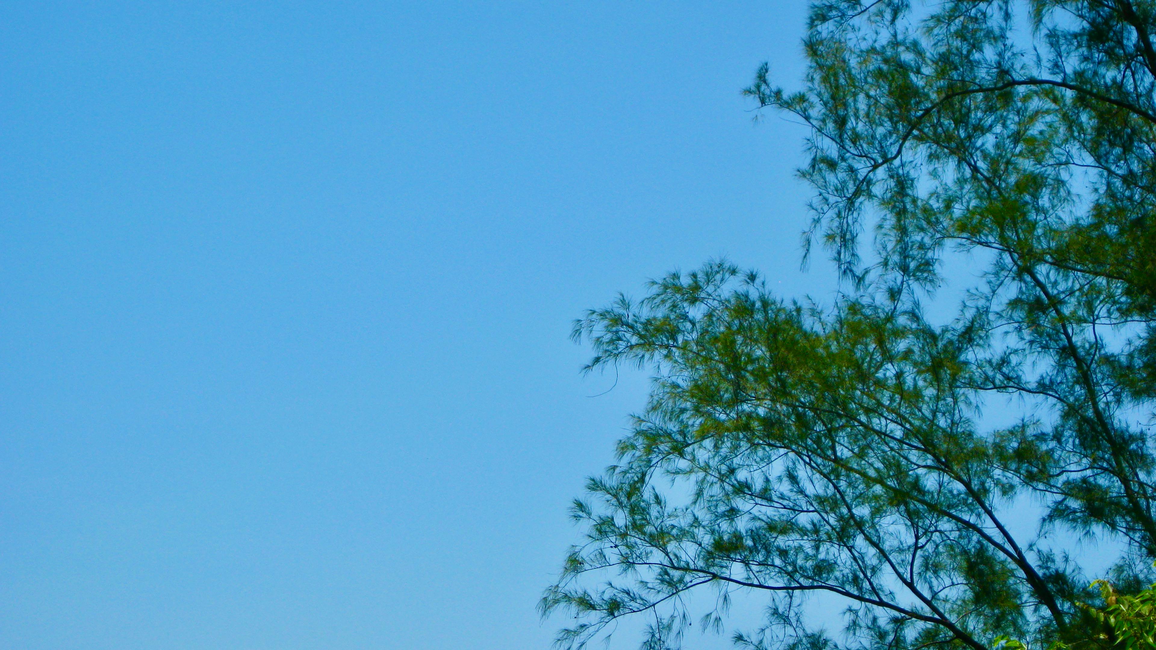 Mario Obst - การถ่ายภาพ