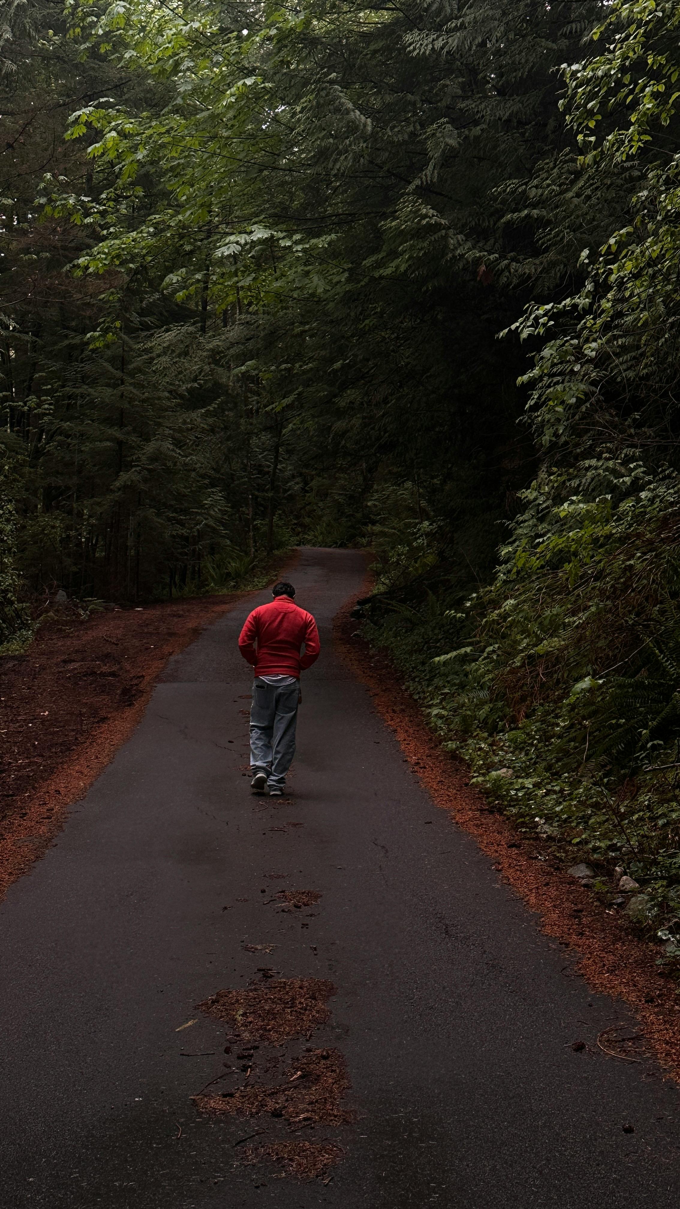 Shadow Walking Away Photos, Download The BEST Free Shadow Walking Away ...