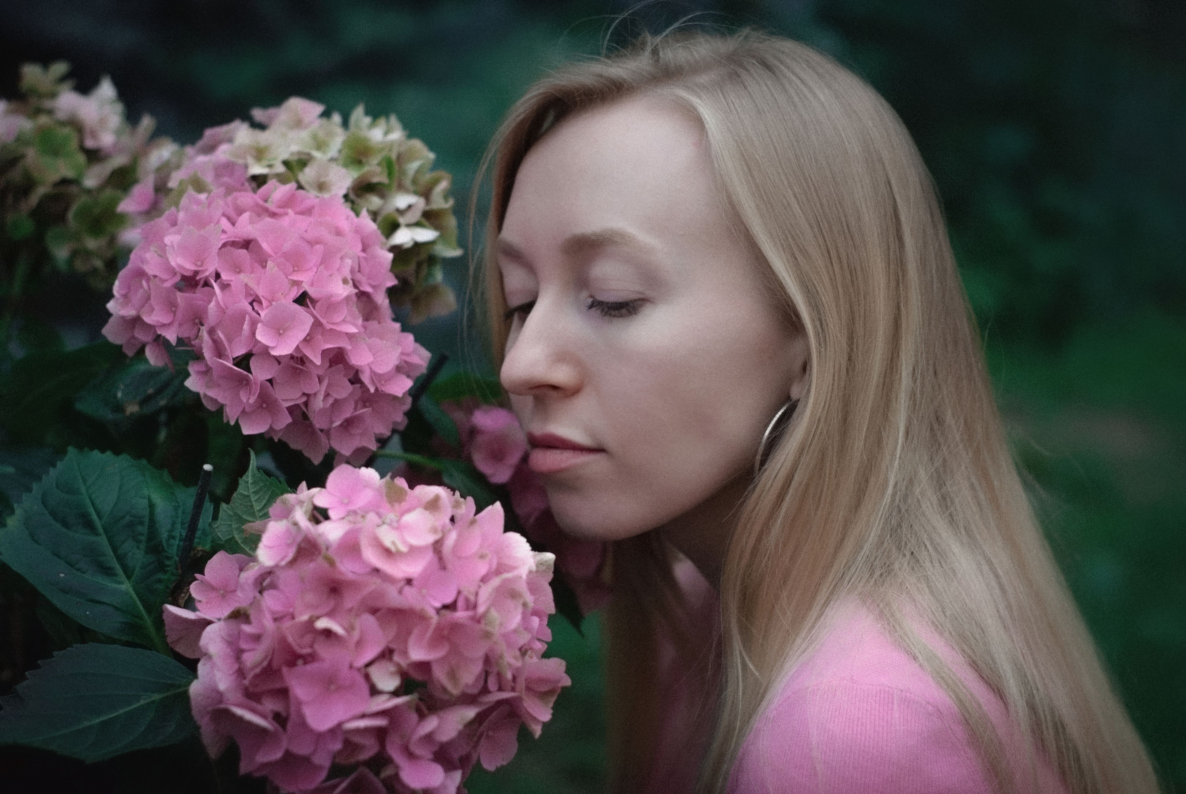Blonde Woman Smelling Pink Hydrangea Flowers · Free Stock Photo