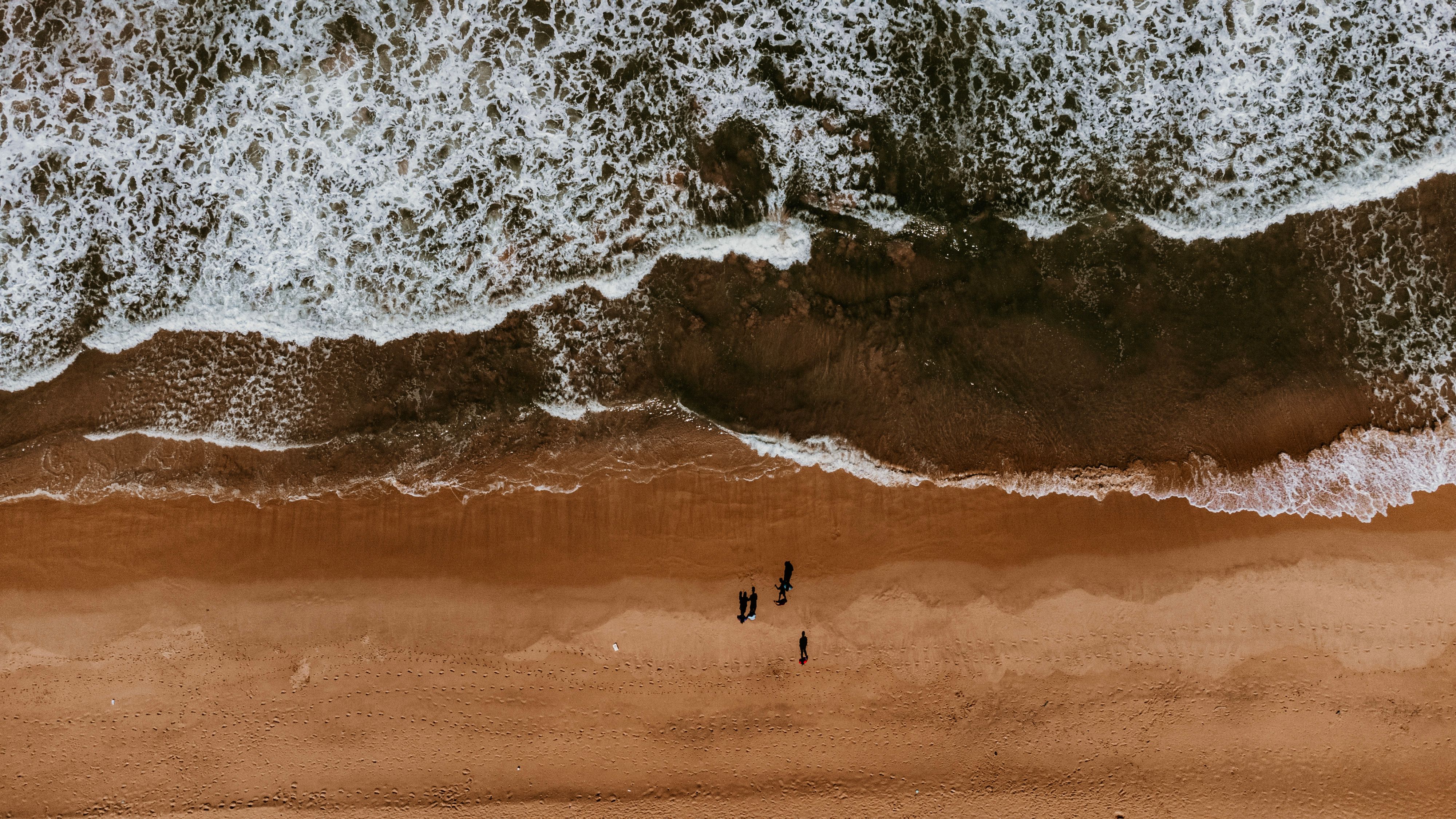 People on Beach on Sea Shore · Free Stock Photo