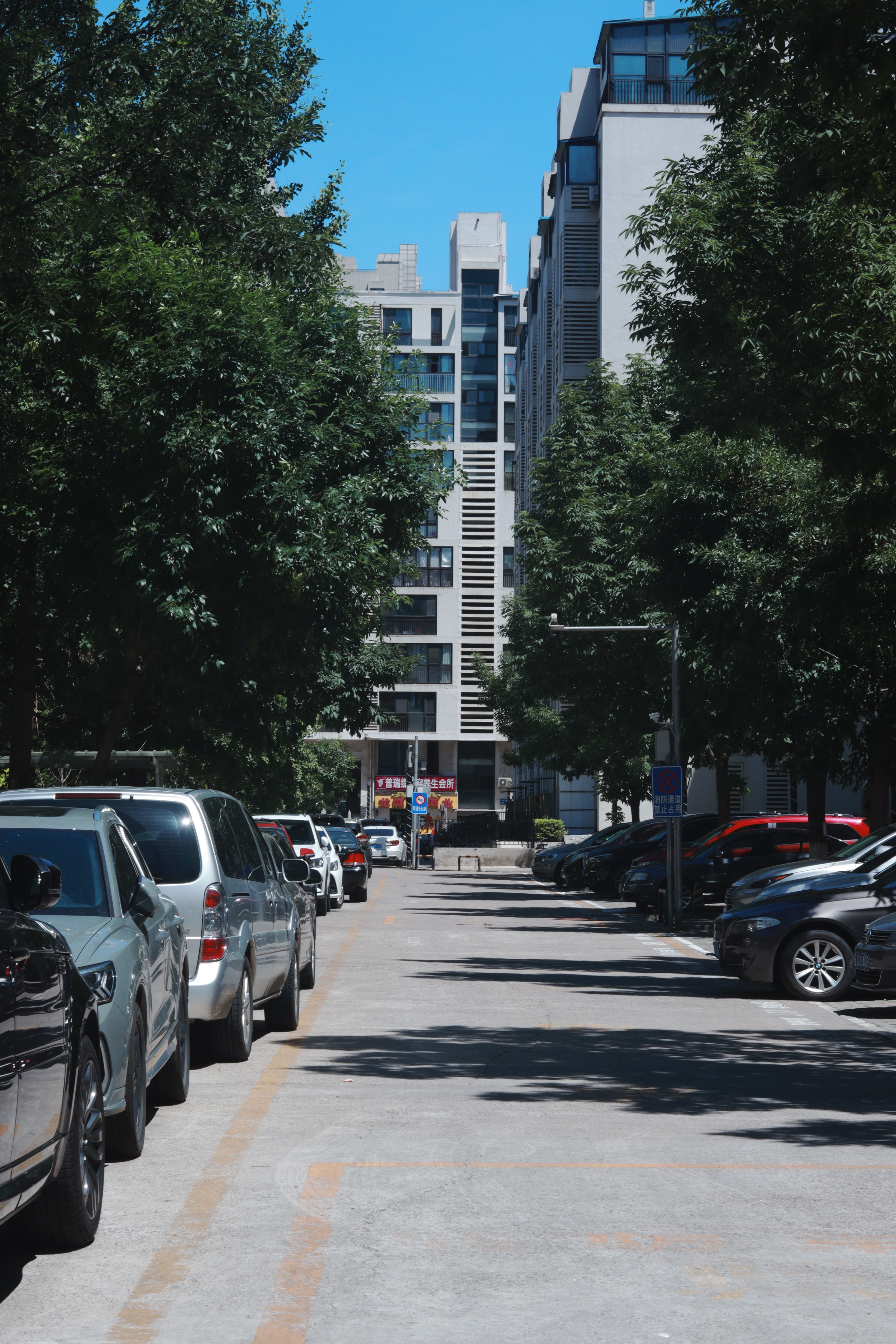View of a Street with Parked Cars in a City · Free Stock Photo