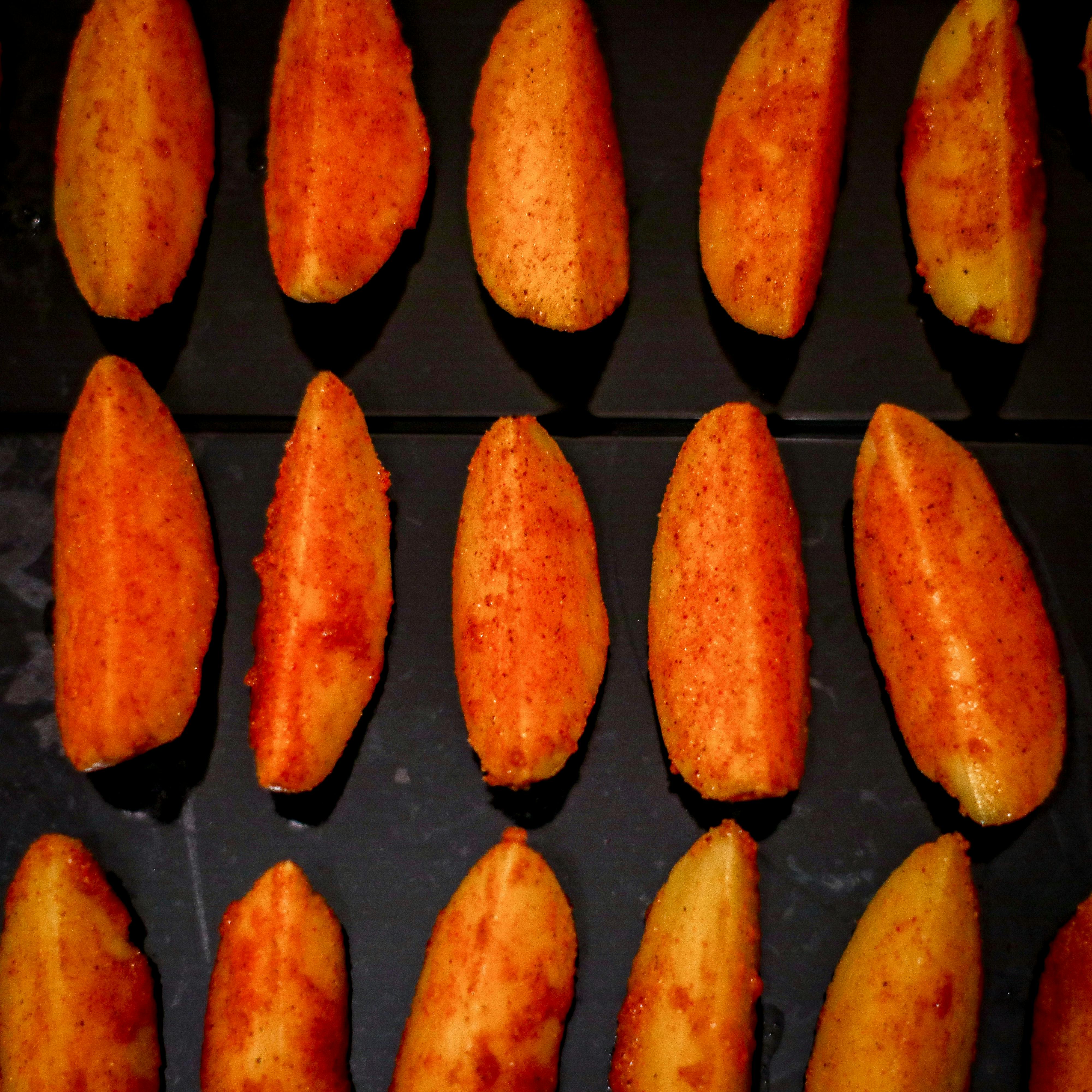 有关動物, 水下, 水生動物的免费素材照片