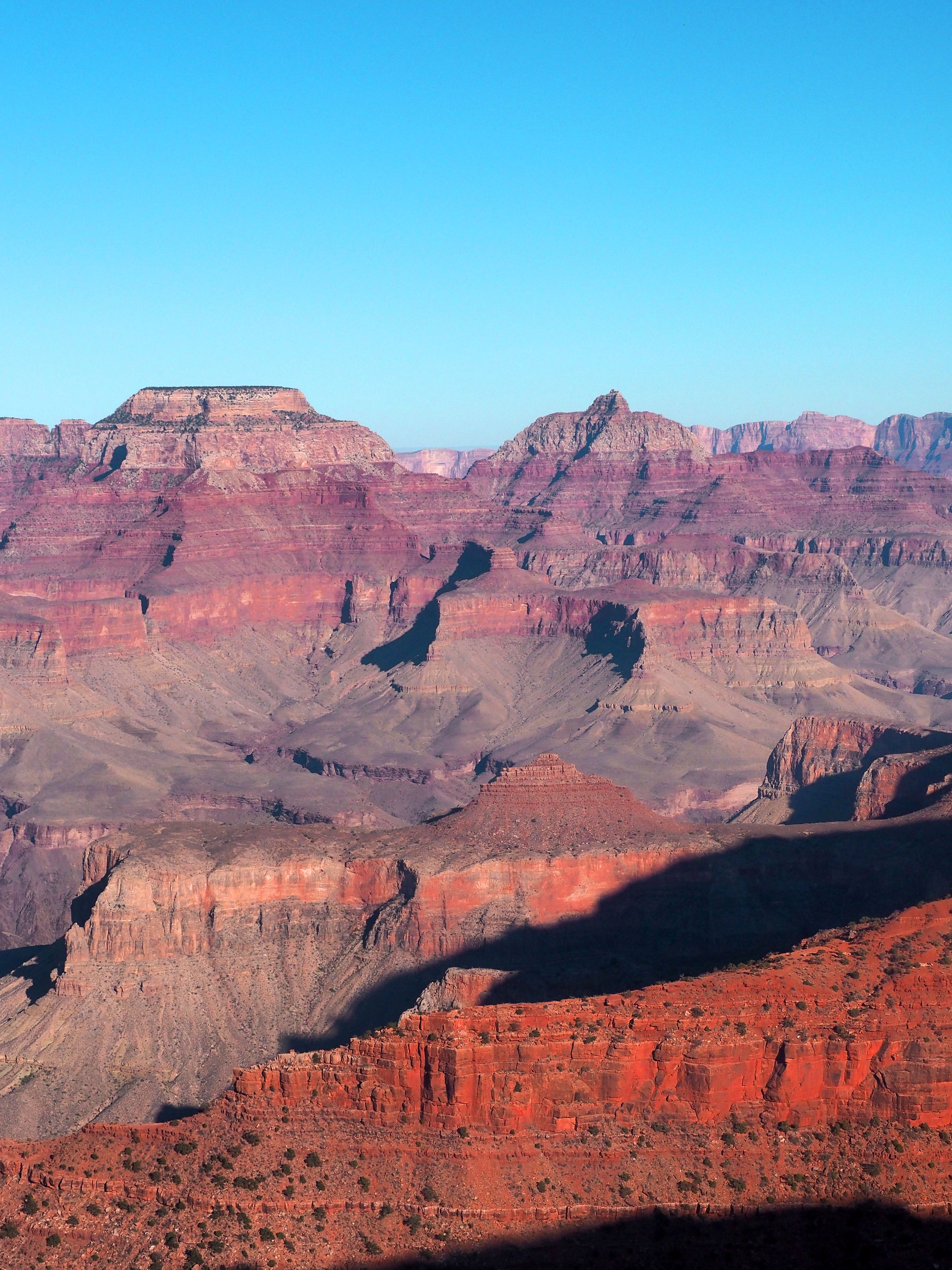 Birds Eye View of Grand Canyon · Free Stock Photo
